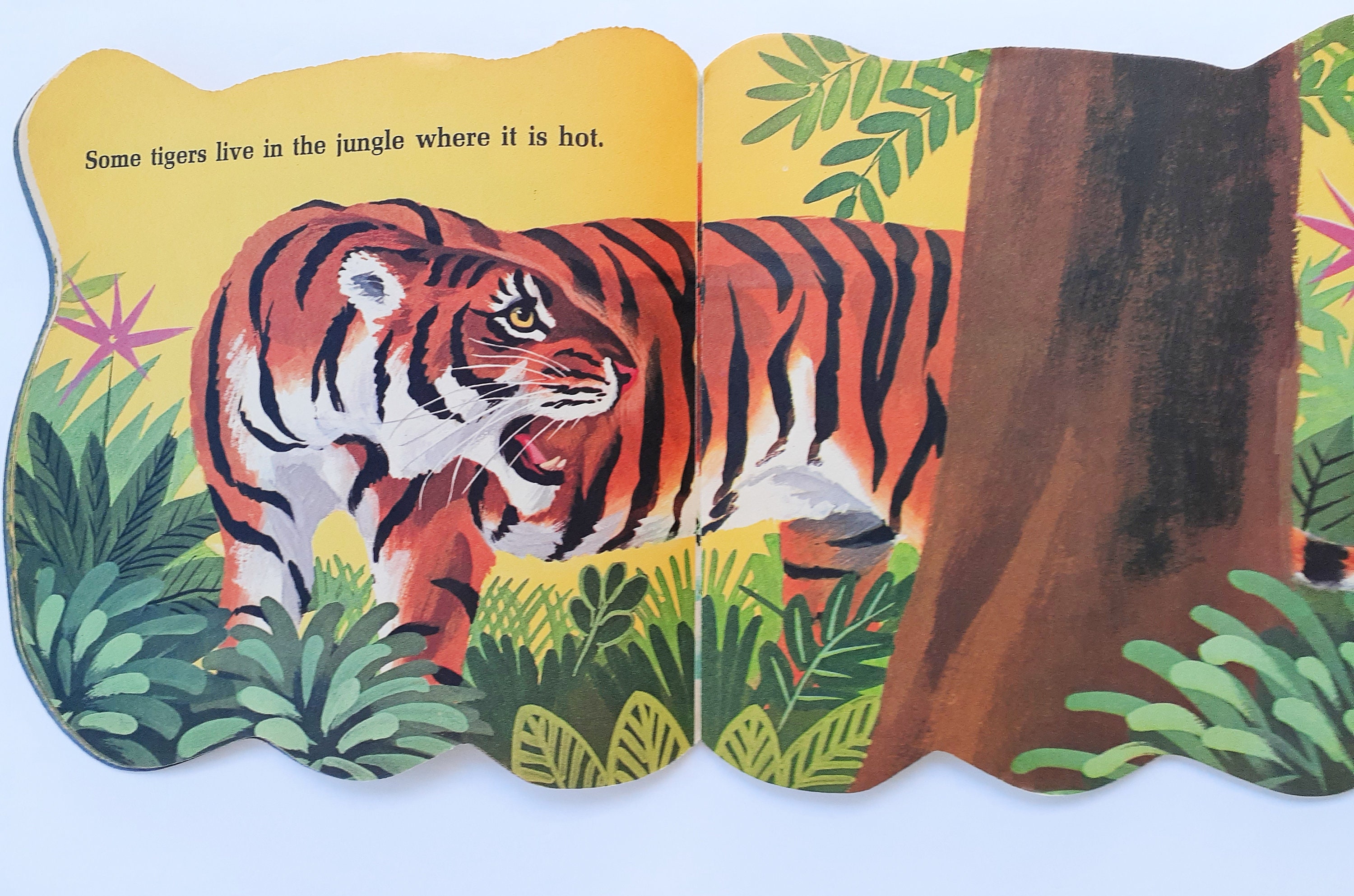 The Tiger Book, Jan Pfloog, 1965, Vintage Golden Shape, 1960s, Children ...