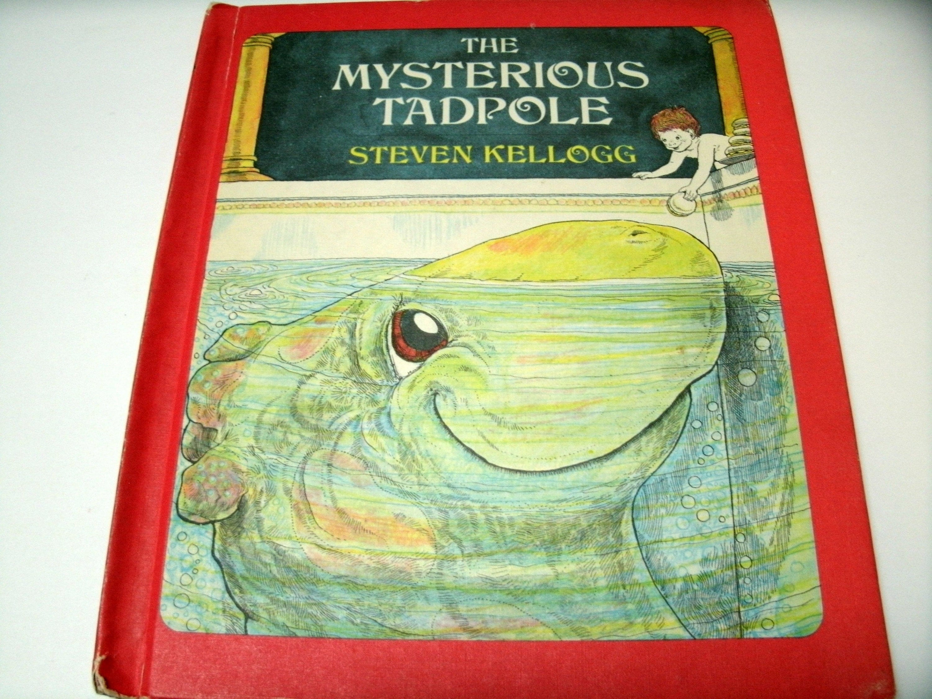 The Mysterious Tadpole Reader Guide