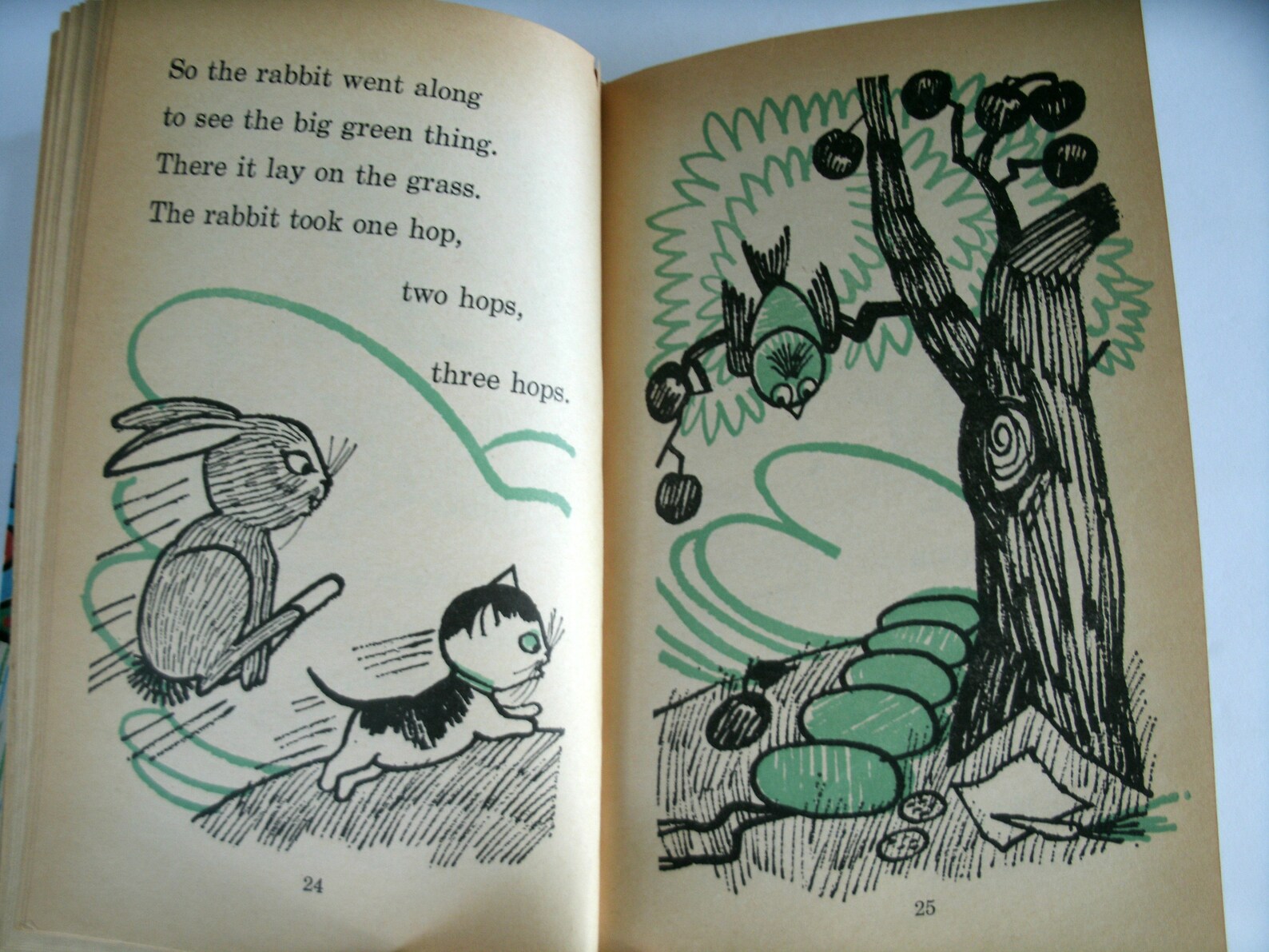 The Big Green Thing, Miriam Schlein, Wonder Books Easy Reader, Vintage ...