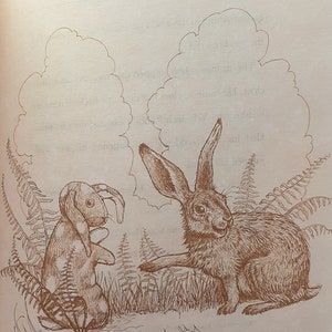 The Velveteen Rabbit, Margery Williams, 1998, Vintage Children's Book ...