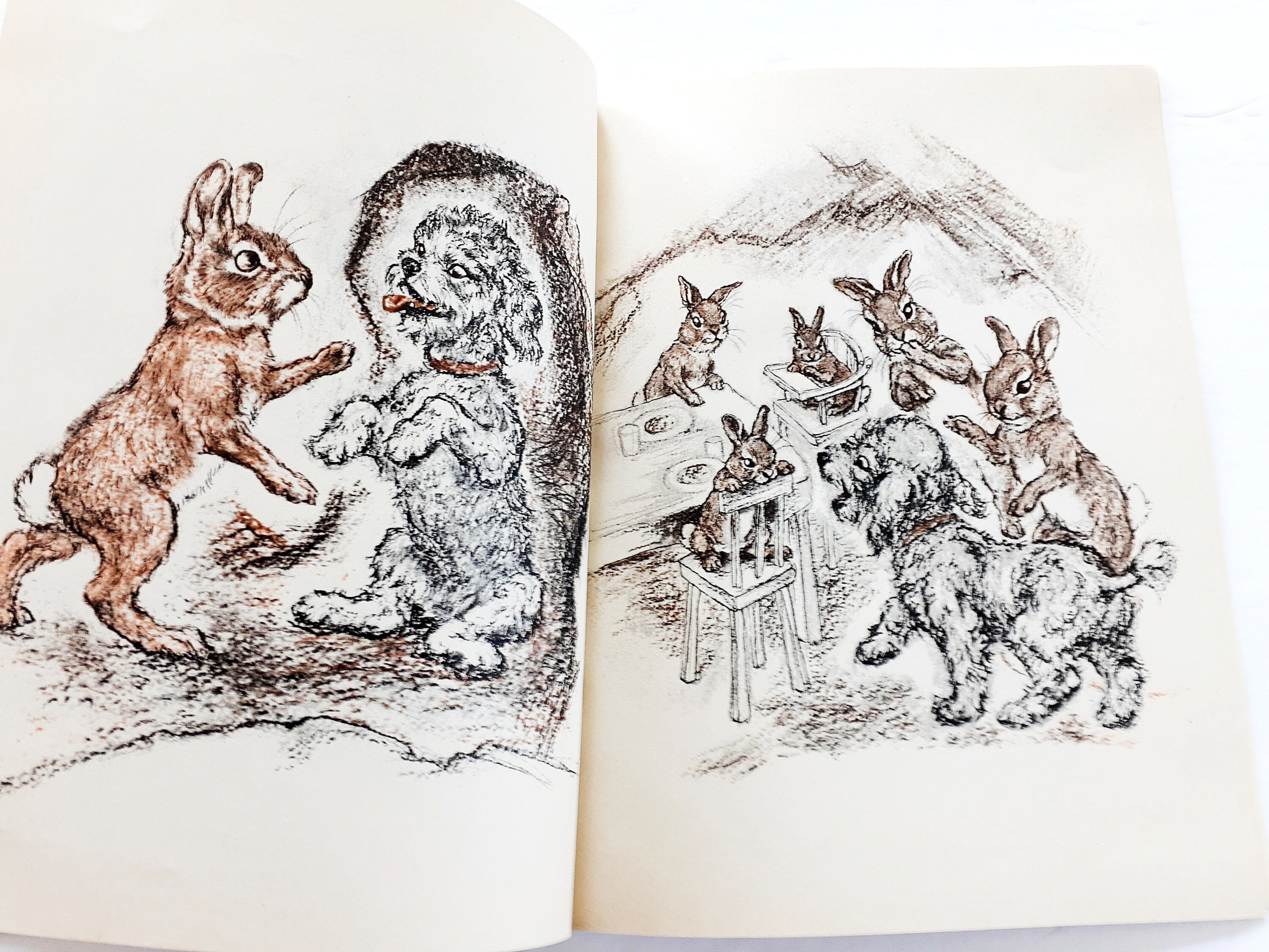 What Whiskers Did, Ruth Carroll, 1965, Vintage 1960s Children's Book ...