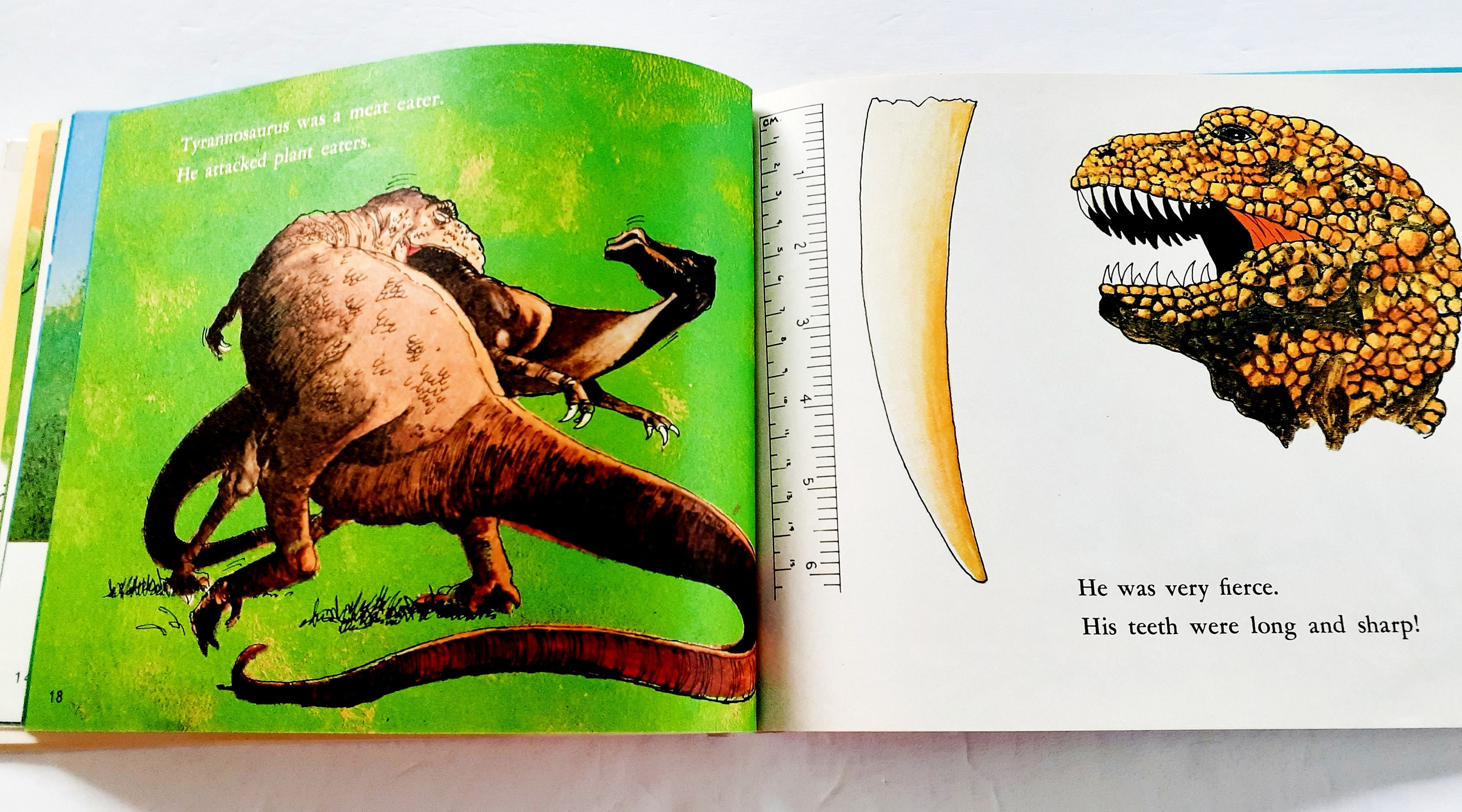 Giant Dinosaurs, Erna Rowe, 1973, Vintage 1970s Children's Book - Etsy