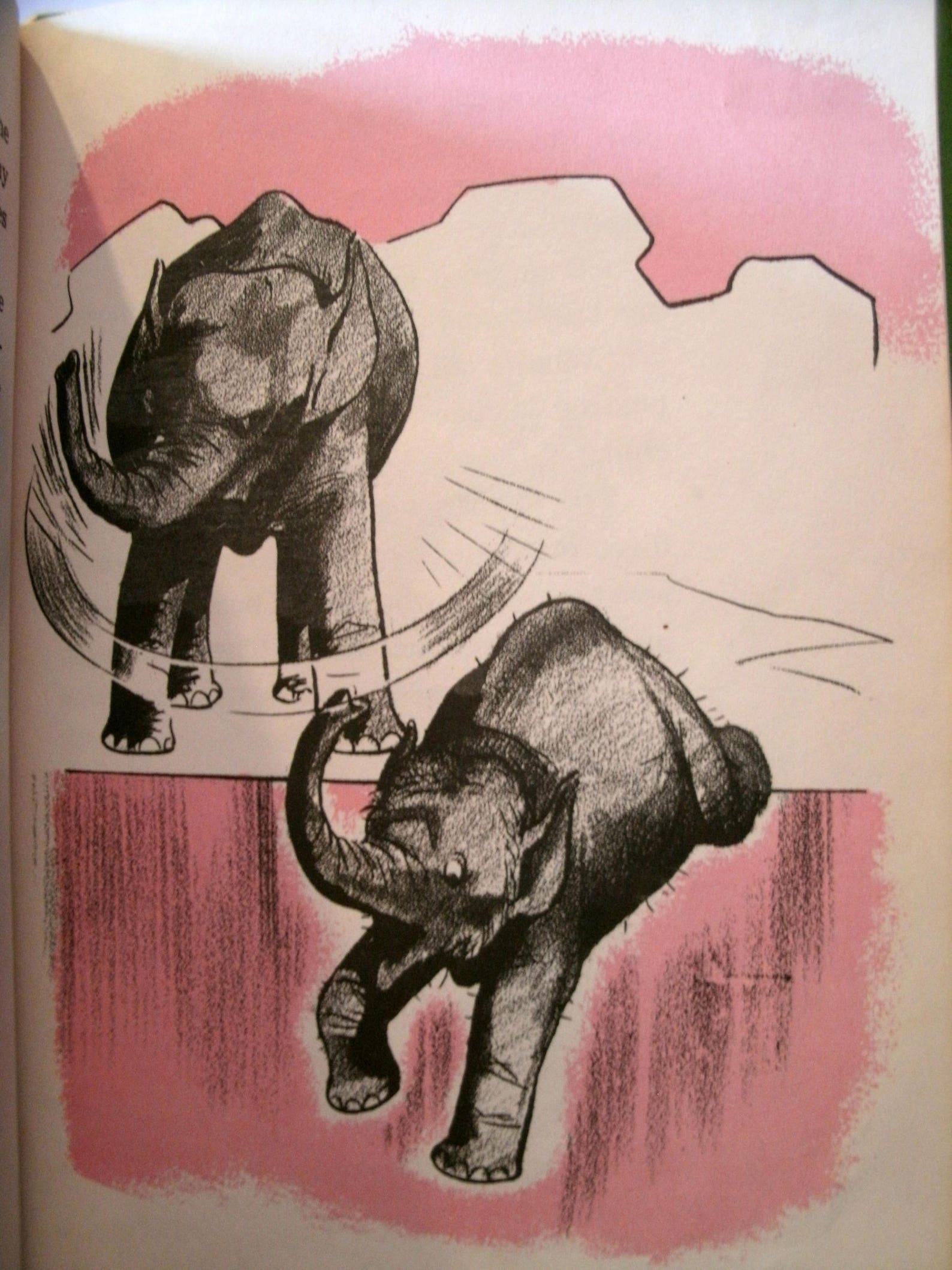 Packy the Runaway Elephant, Ethel Maxine Neff, Vintage 50s Children’s ...