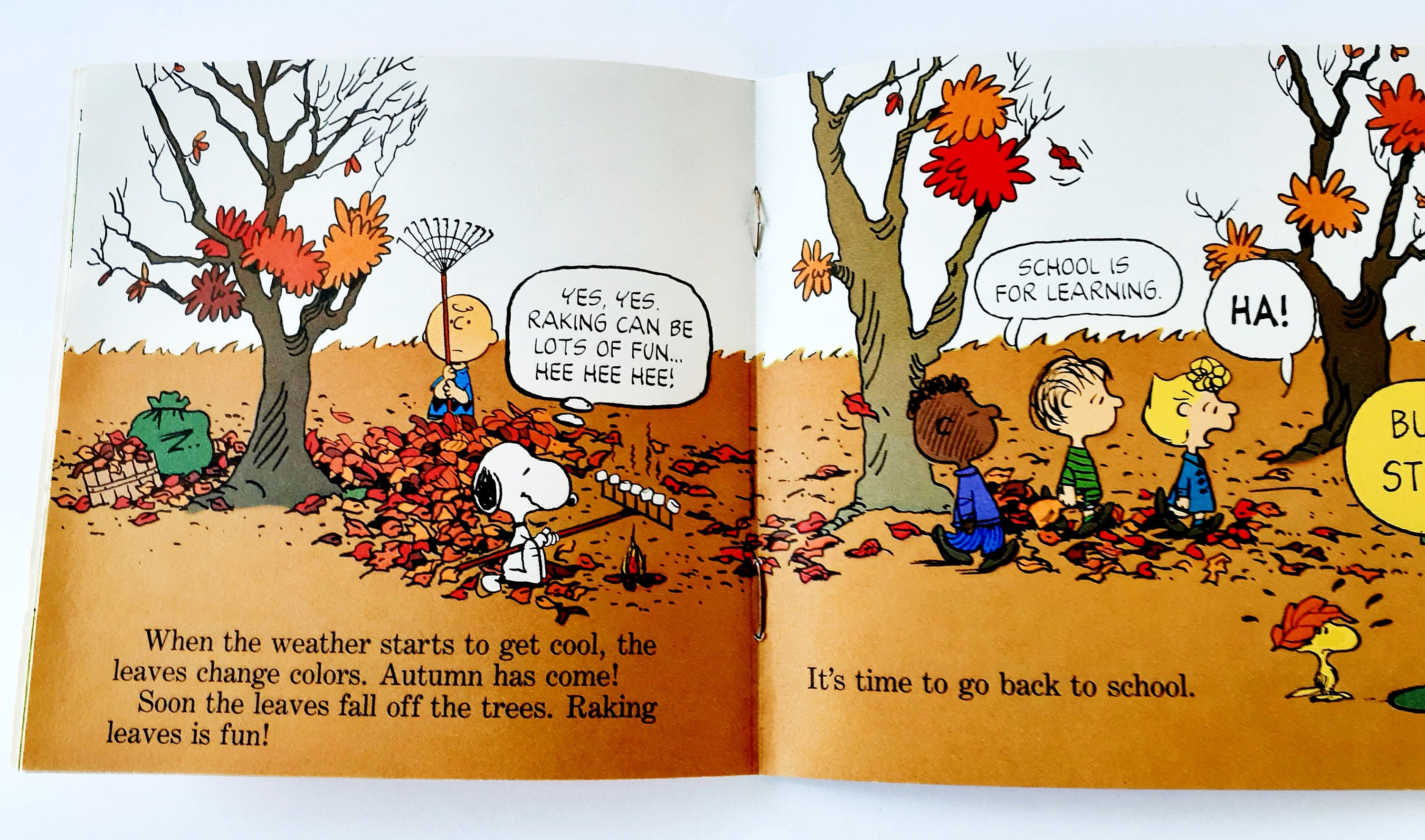 Snoopy's Facts and Fun Book About Seasons, Charles M Schulz, 1983 ...