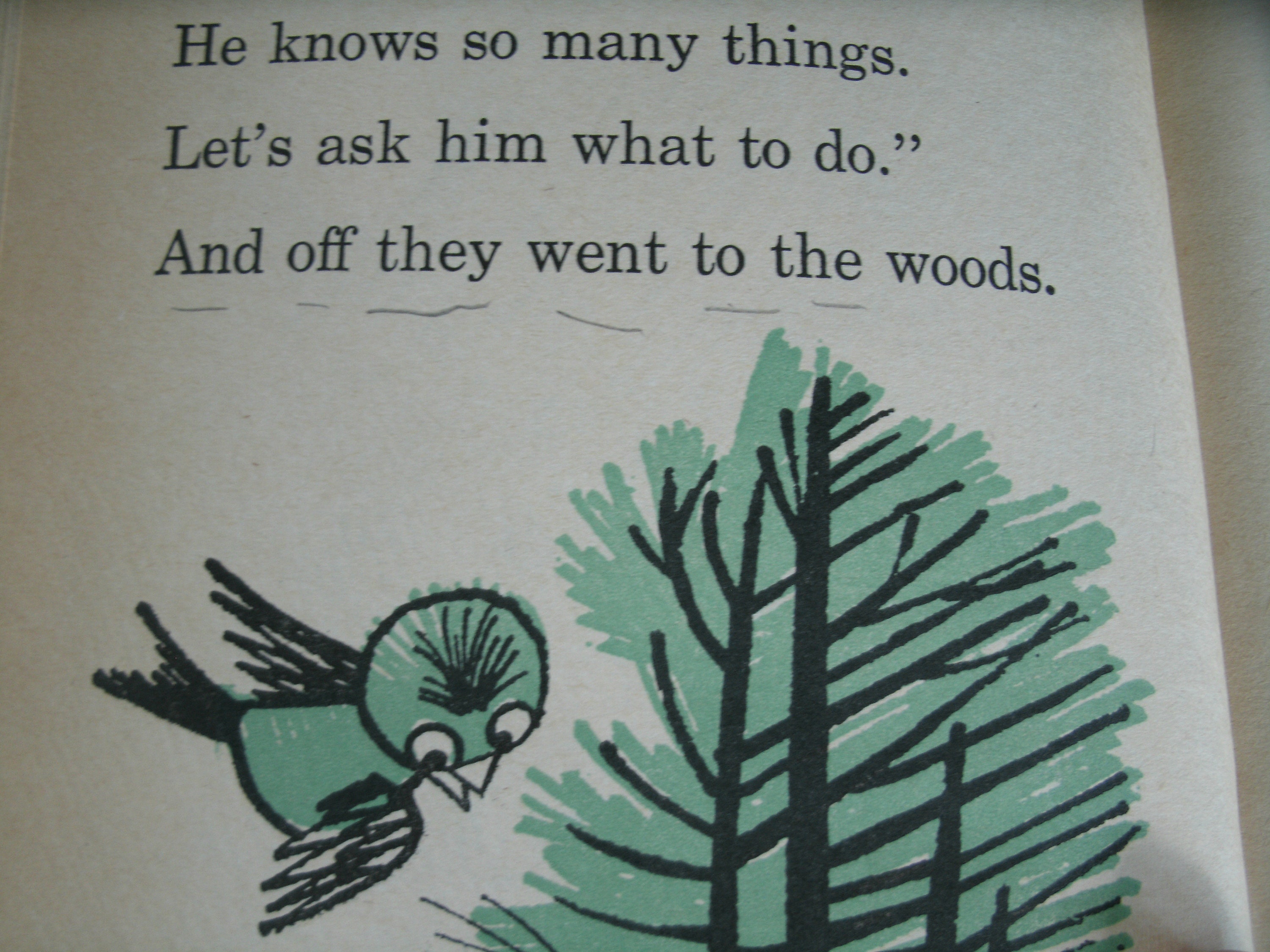 The Big Green Thing, Miriam Schlein, Wonder Books Easy Reader, Vintage ...