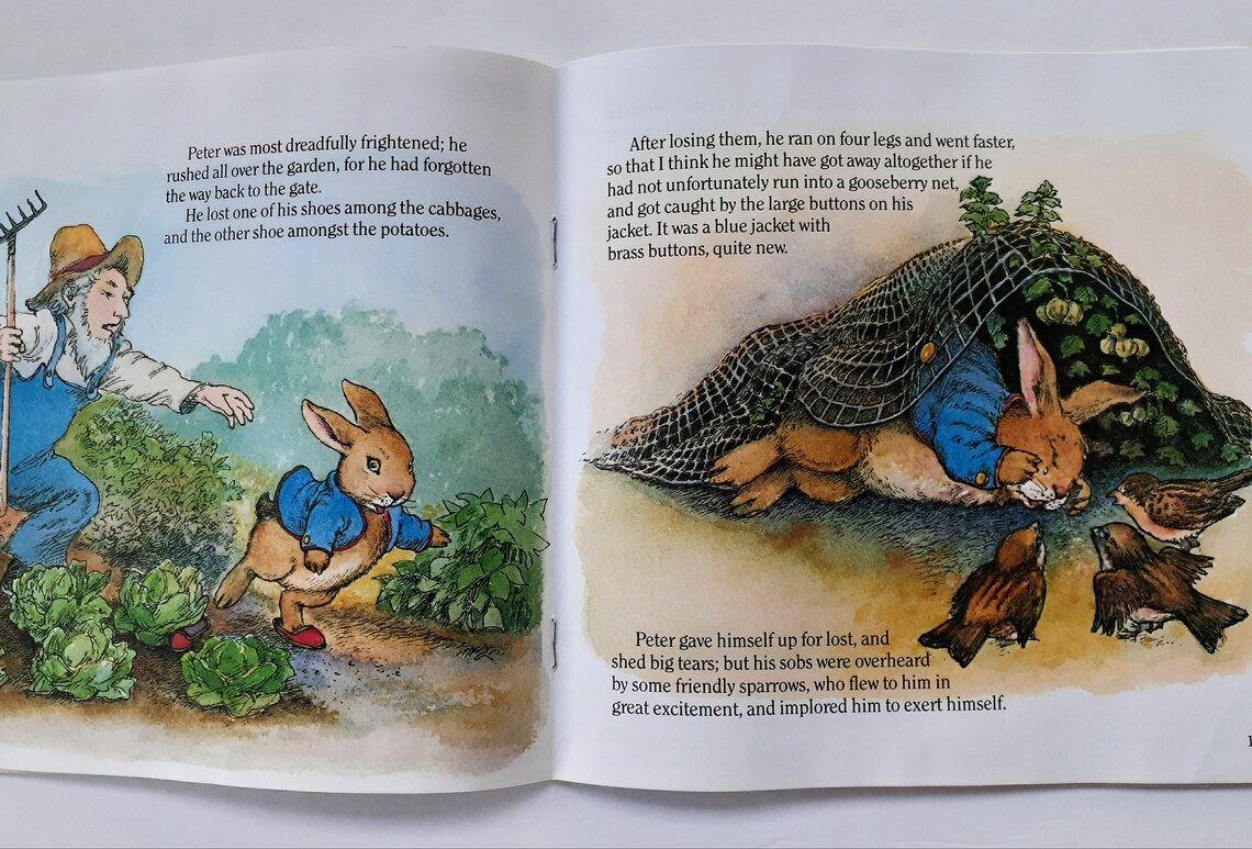 The Tale of Peter Rabbit Beatrix Potter 1986 Vintage 1980s - Etsy