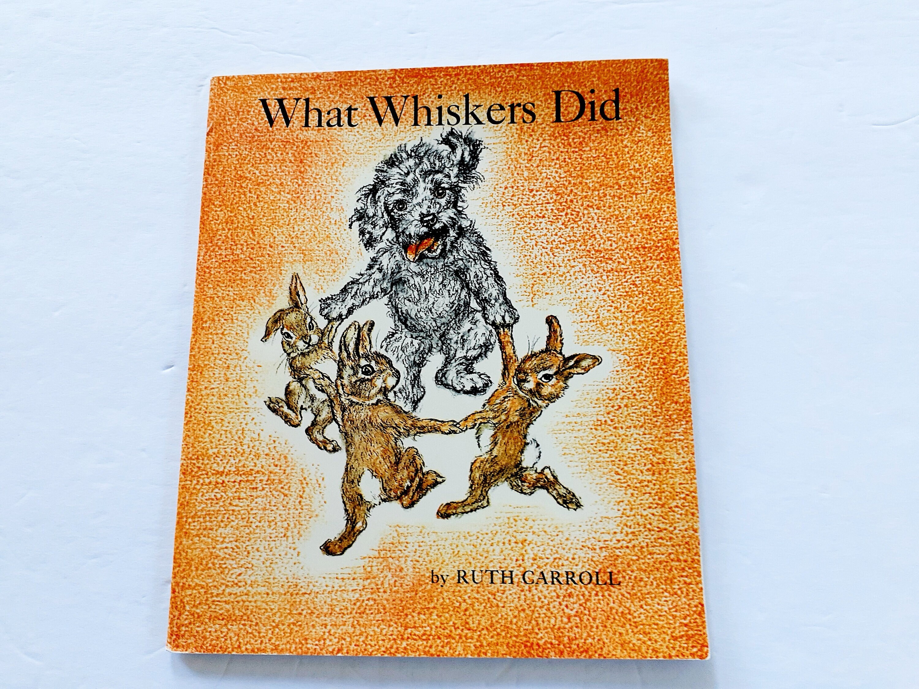 What Whiskers Did, Ruth Carroll, 1965, Vintage 1960s Children's Book ...