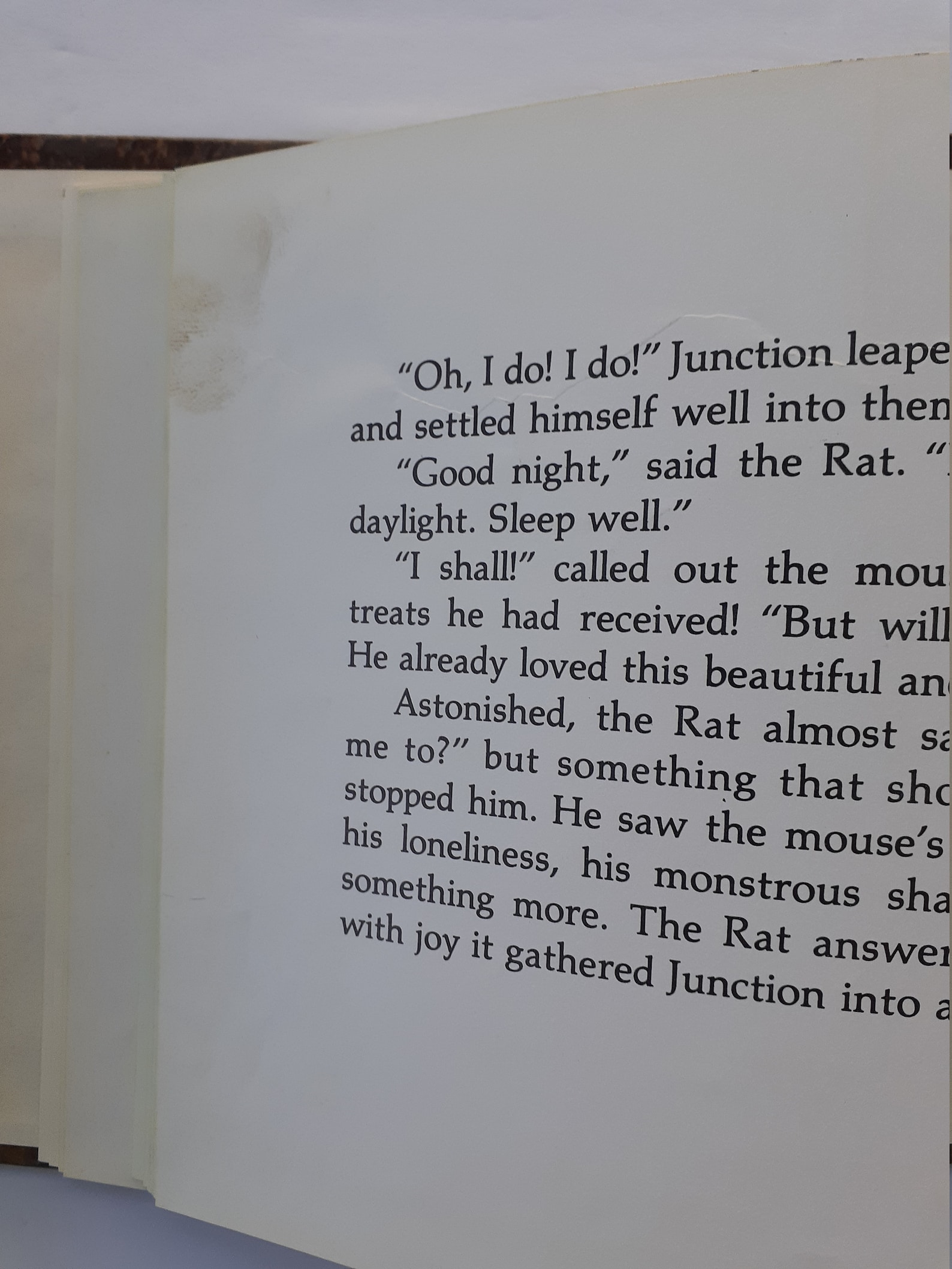A Mouse Called Junction, Julia Cunningham, 1980, Vintage 80s Kids Book ...