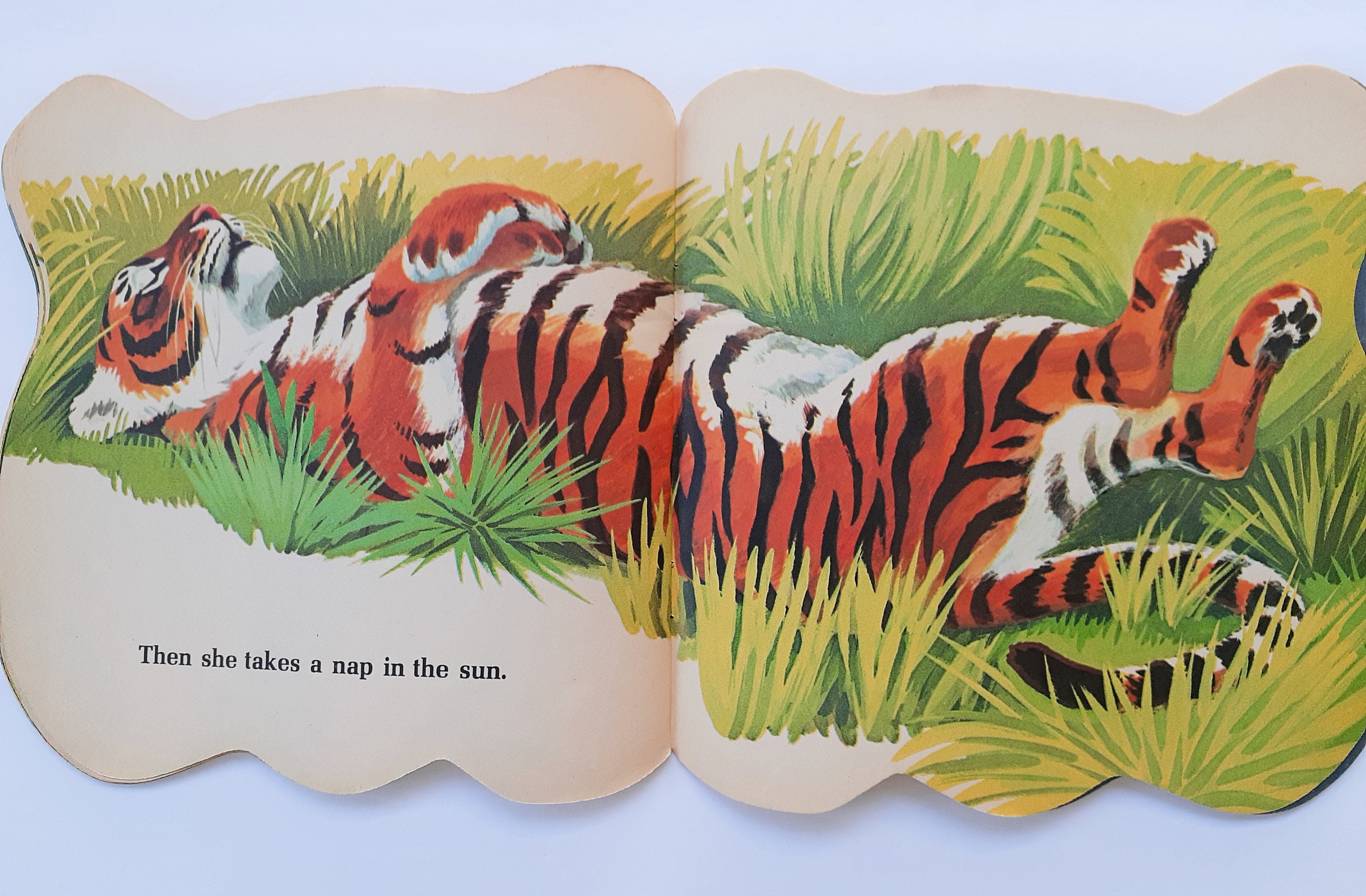 The Tiger Book, Jan Pfloog, 1965, Vintage Golden Shape, 1960s, Children ...