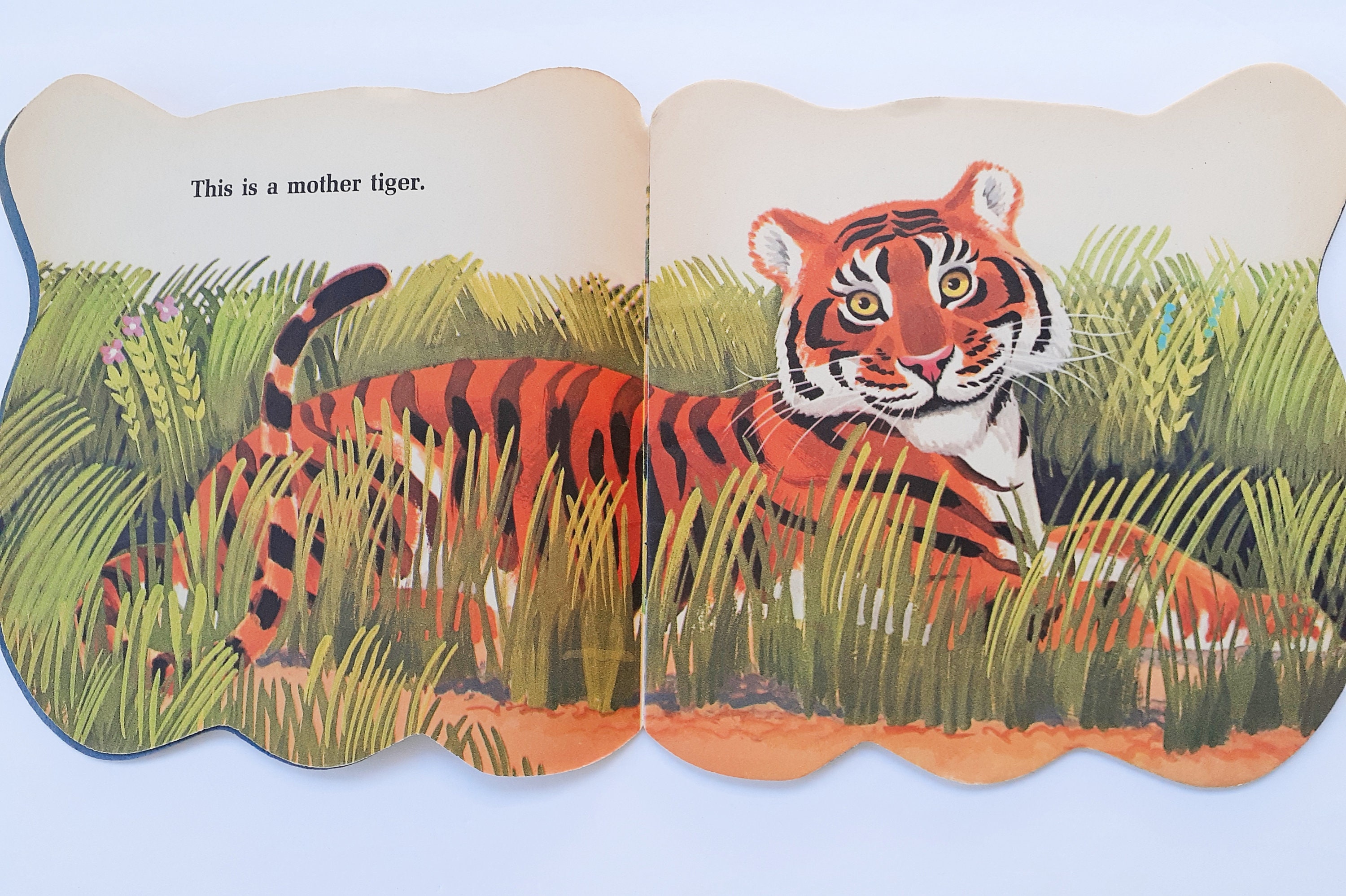 The Tiger Book, Jan Pfloog, 1965, Vintage Golden Shape, 1960s, Children ...