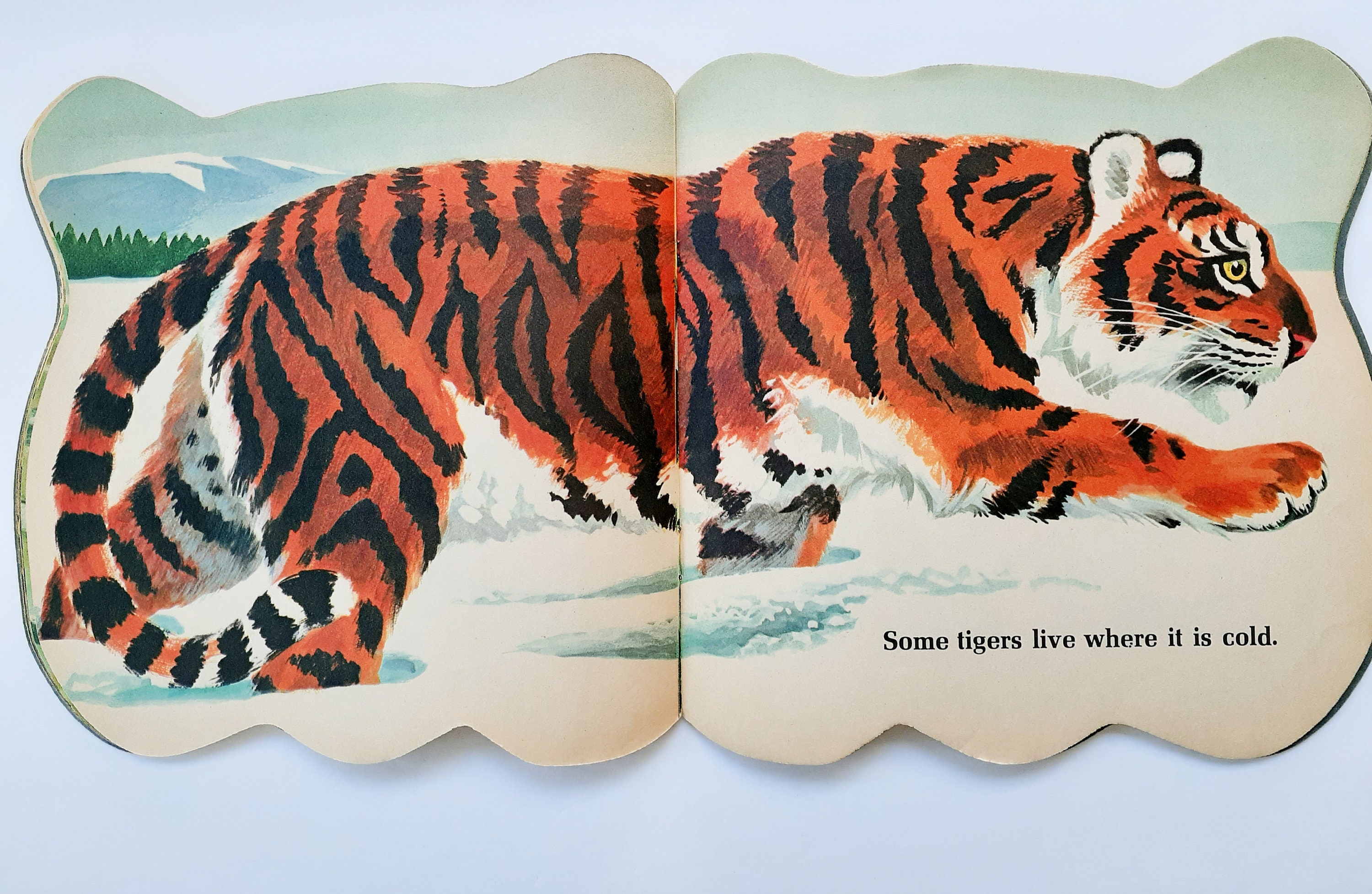The Tiger Book, Jan Pfloog, 1965, Vintage Golden Shape, 1960s, Children ...