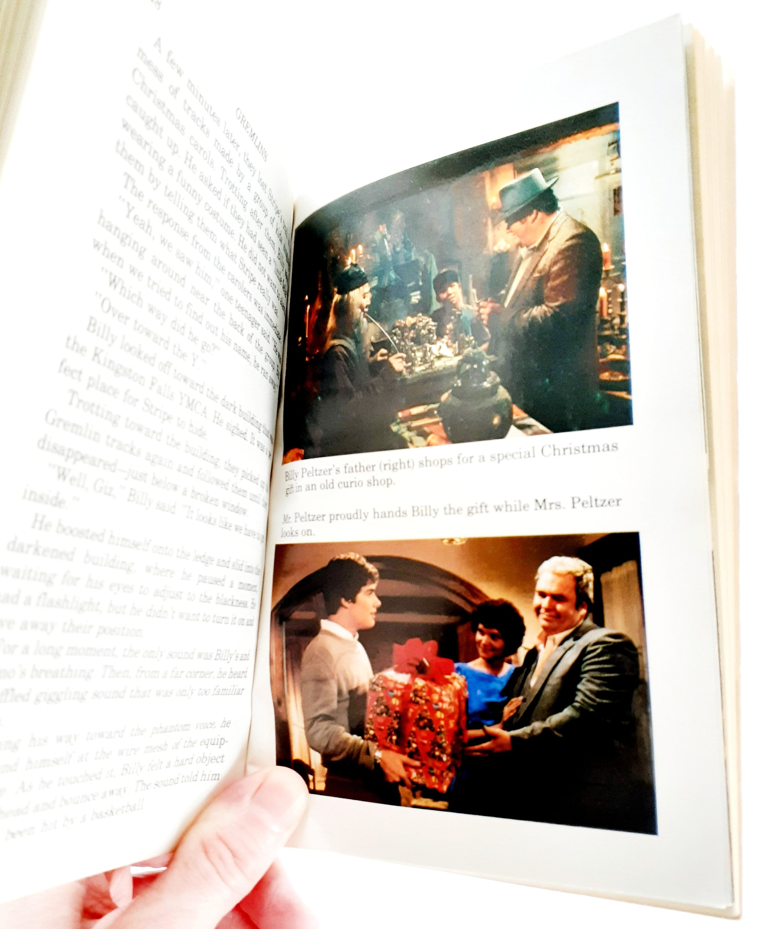 Steven Spielberg Presents Gremlins, 1984, Novelization, Vintage 80s ...