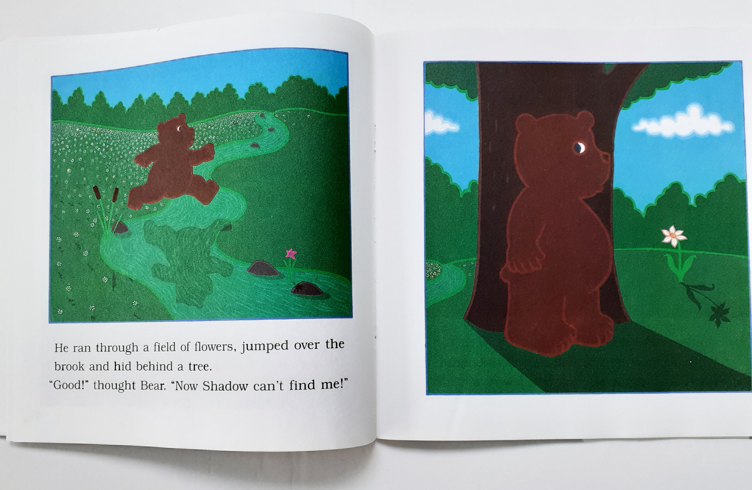 Bear Shadow, Frank Asch, 1985, Vintage Kids Book, Scholastic, 1990 - Etsy