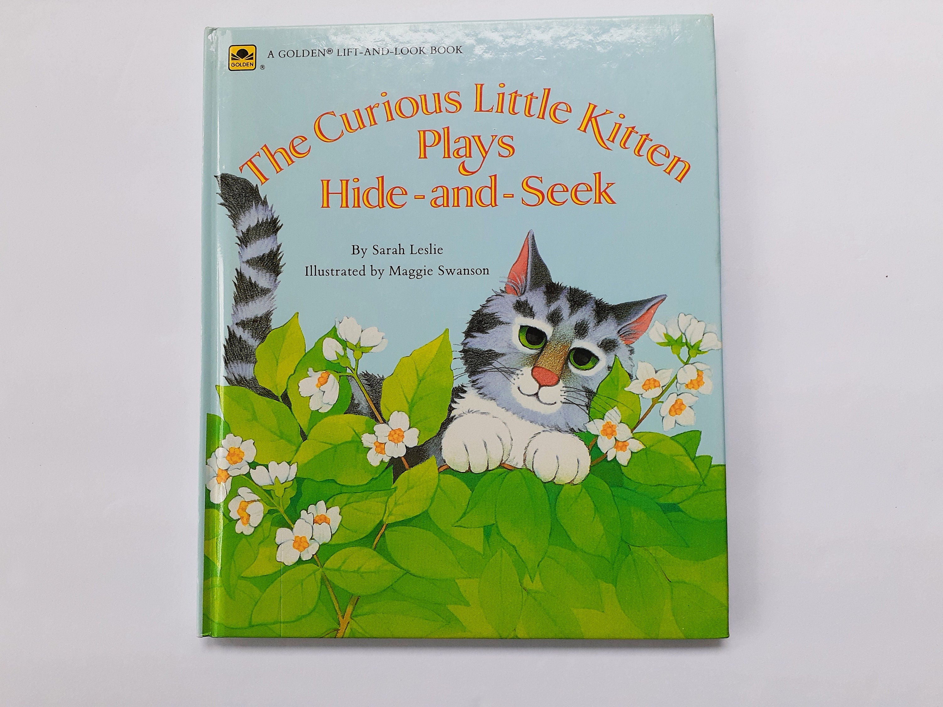 Picture Book About A Kitten
