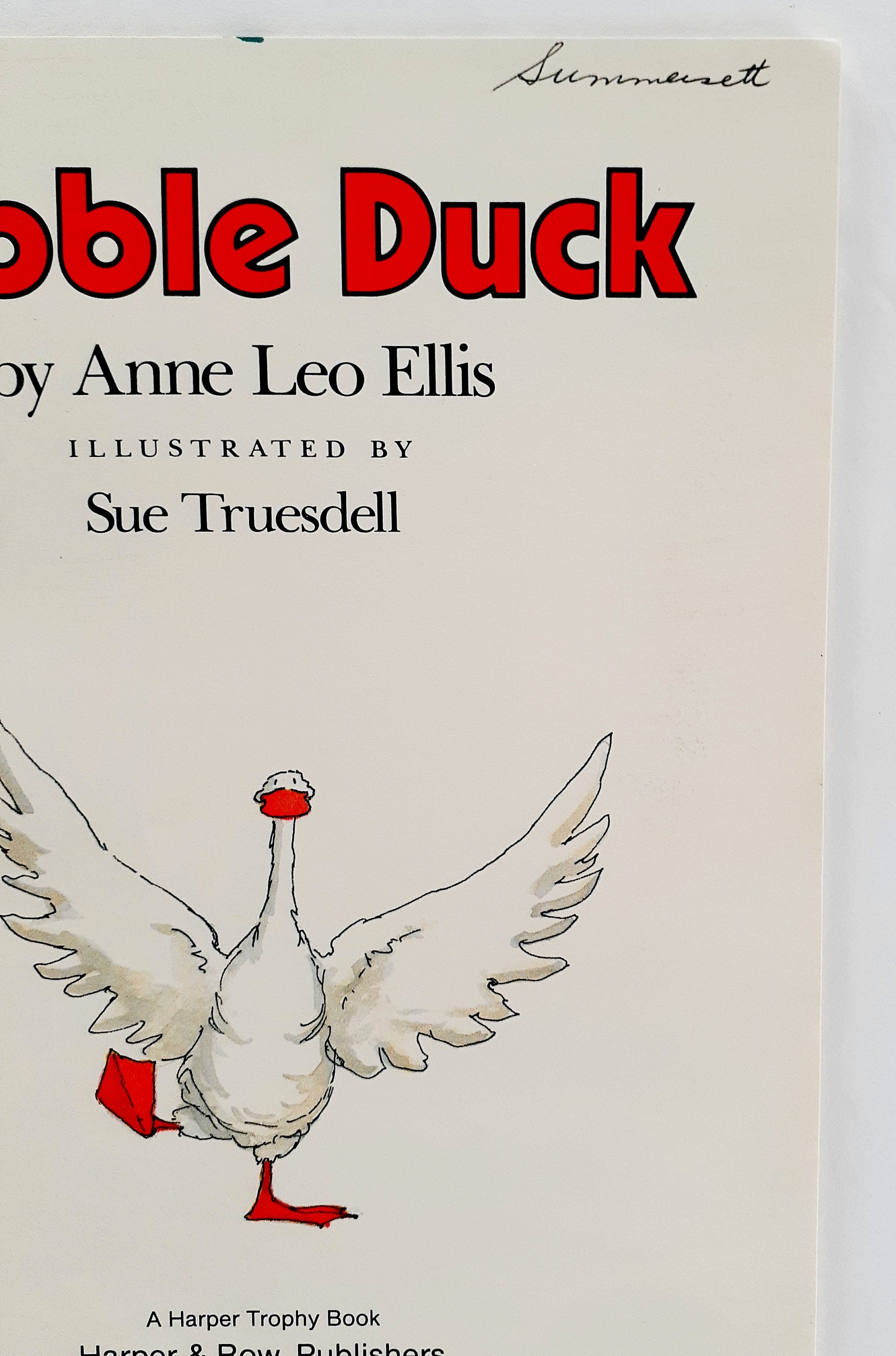 Dabble Duck, Anne Leo Ellis, 1987, Reading Rainbow, Vintage 80s Kids ...