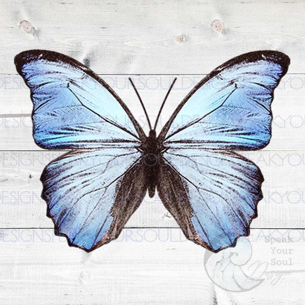 Blue Butterfly, Butterfly Design, Summer Tee, Women's Tee, Sublimation ...
