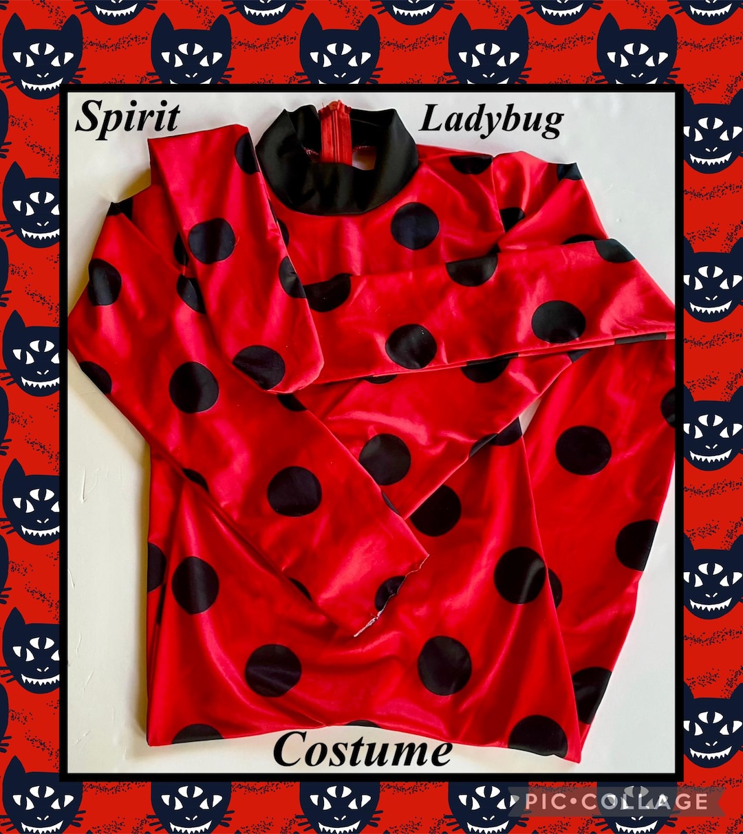 Miraculous Spirit Ladybug Youth Medium Size Costume ~ Alter to Make It ...