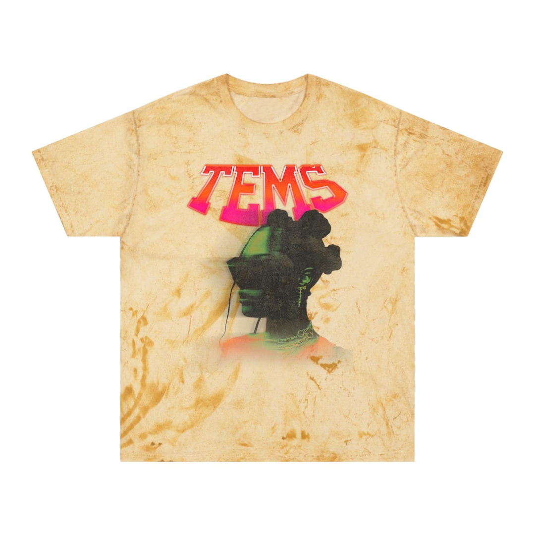 Tems Vintage T-shirt - Etsy