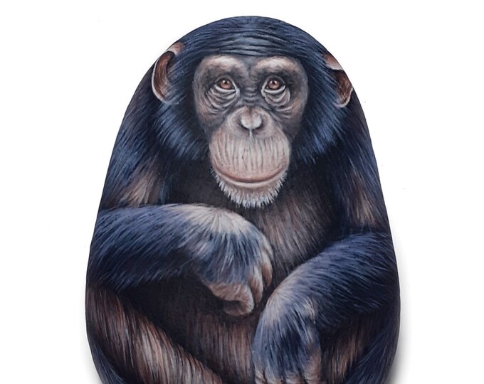 Hand Painted Stone Chimpanzee Stone Art Animal Portrait - Etsy