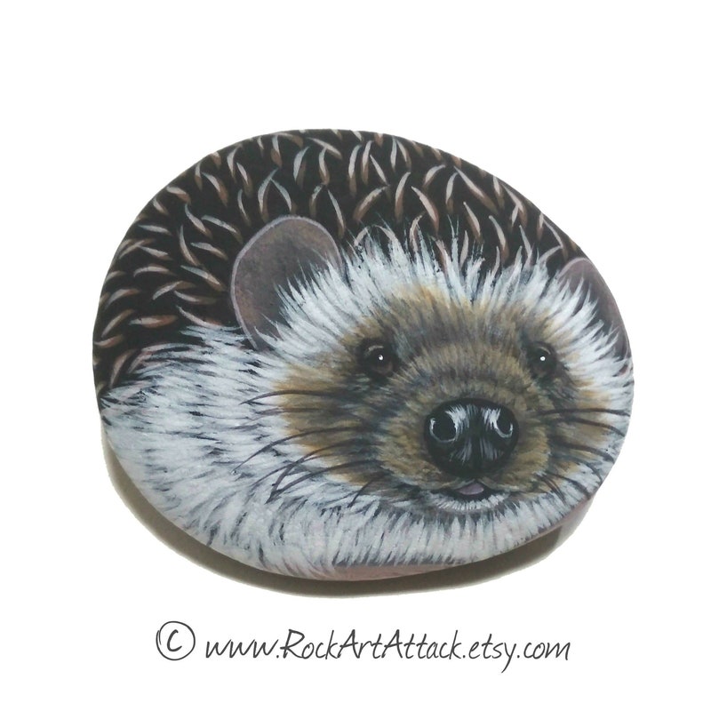 Paint Hedgehog Rock - Etsy