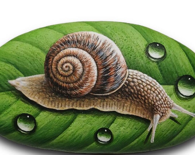 Hand Painted Stone Snail and Water-drops on Green Leaf. Acrylic ...