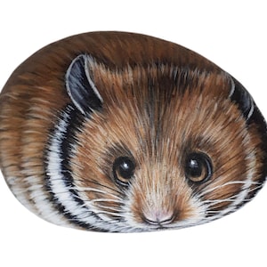 Hamster Acrylic Painting on Natural Stone! Hand Painted Rodent ...