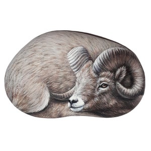 Big Horned Mountain Ram Hand Painted With Acrylics on Flat Sea - Etsy