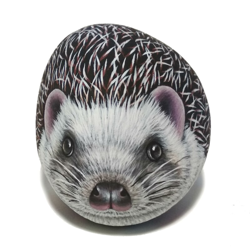 Paint Hedgehog Rock - Etsy