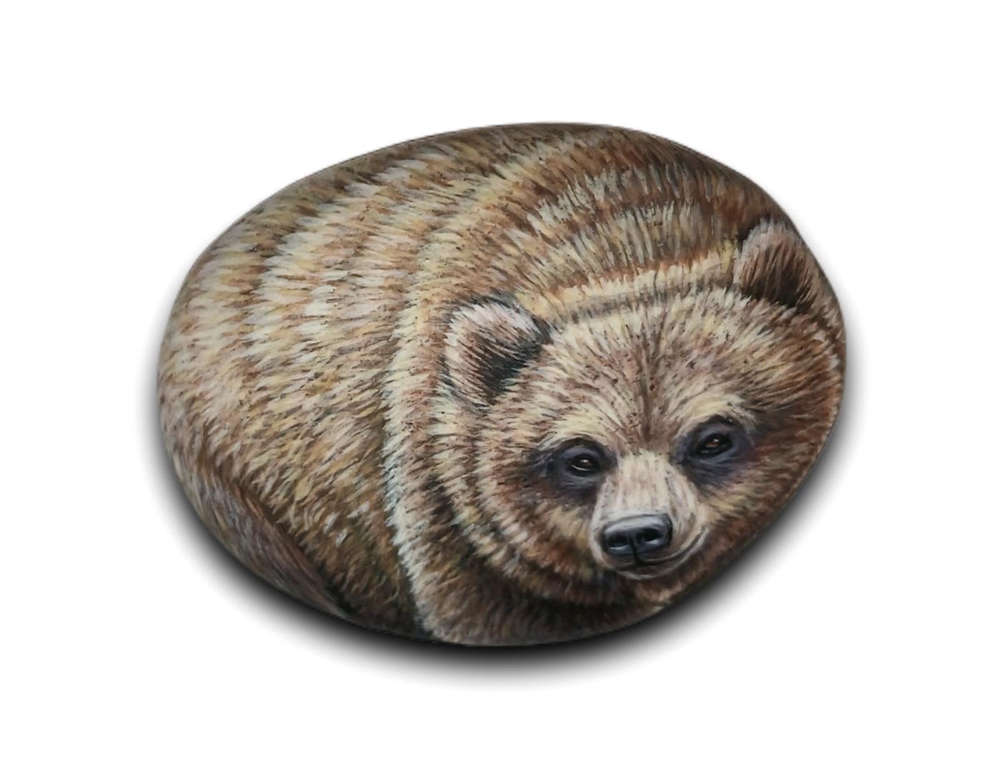 Hand Painted Rock Grizzly Bear Full Body Portrait Forest Mountain ...