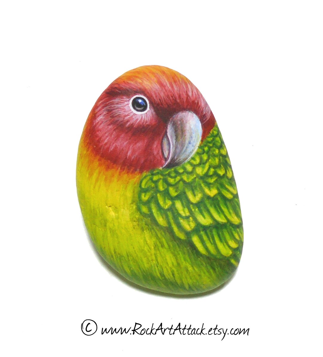 Hand-painted Parrot Pebble: Colorful Acrylic Rock Art - Etsy
