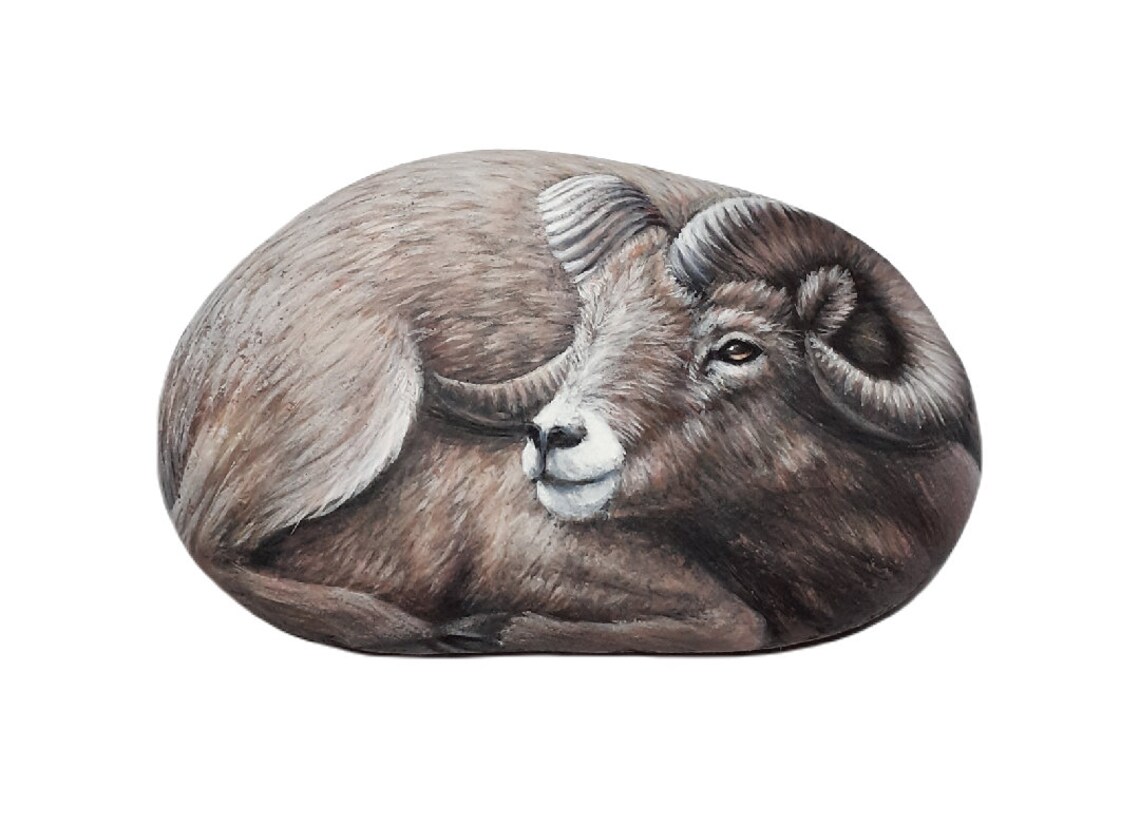 Big Horned Mountain Ram Hand Painted With Acrylics on Flat Sea - Etsy