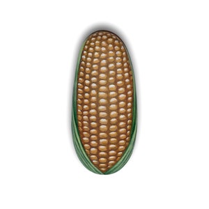 Hand Painted Pebble Corn! Painted on a Flat Natural Sea Pebble With ...