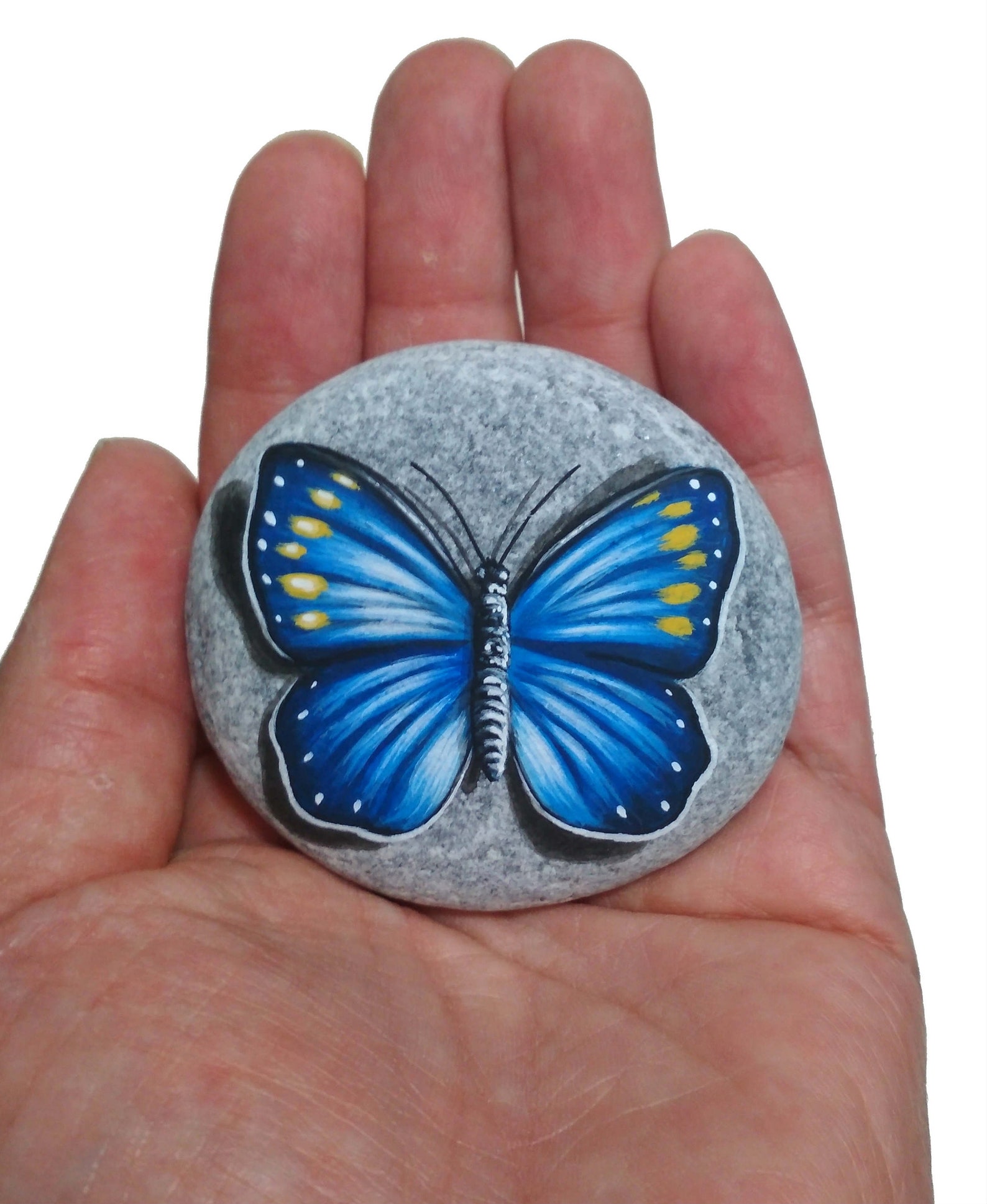 Pebble Painting Miniature Butterfly Painted With Acrylics on | Etsy
