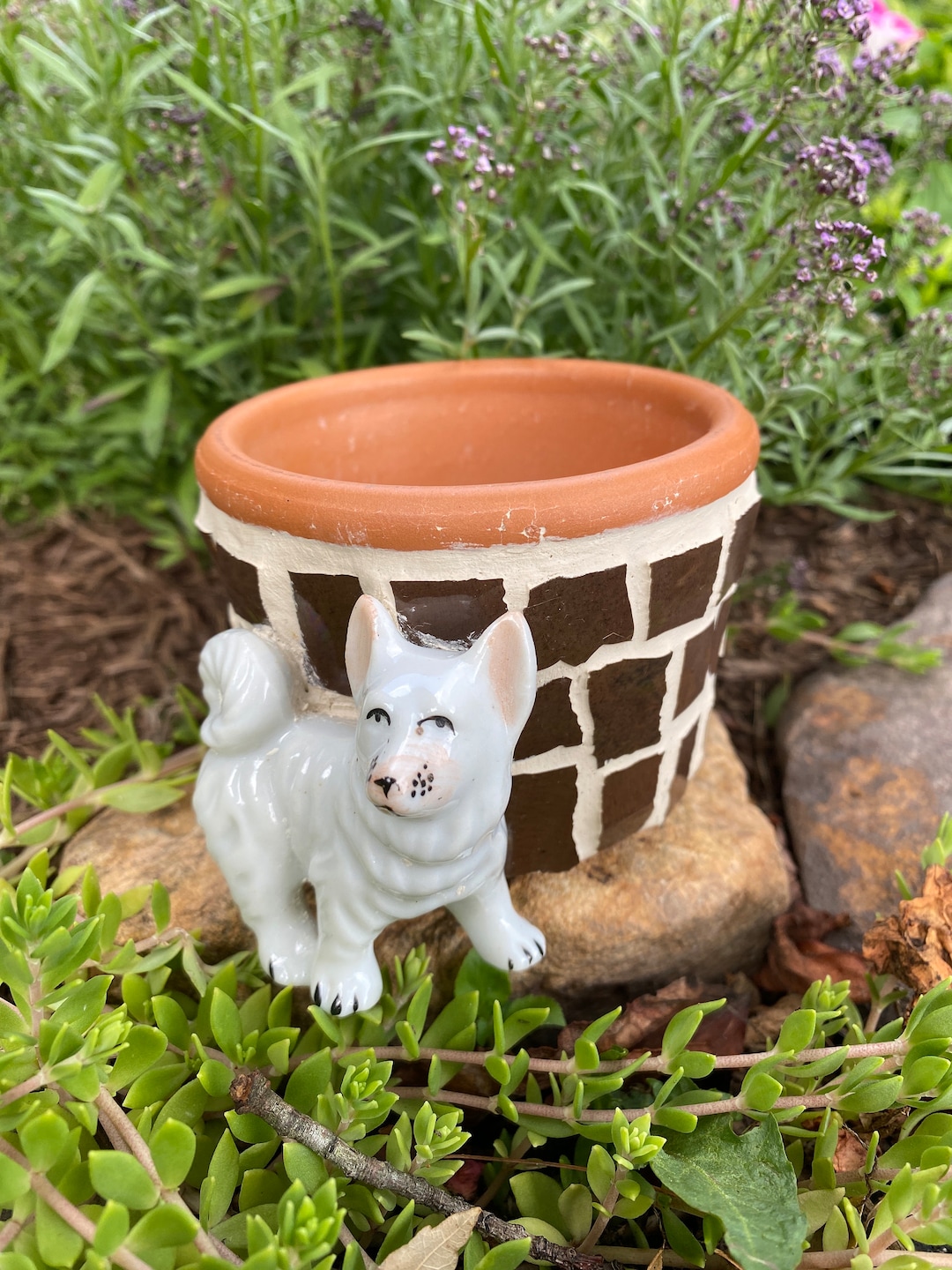 WHITE SIBERIAN HUSKY Spitz Dog Small Mosaic Terracotta Flower Pot ...