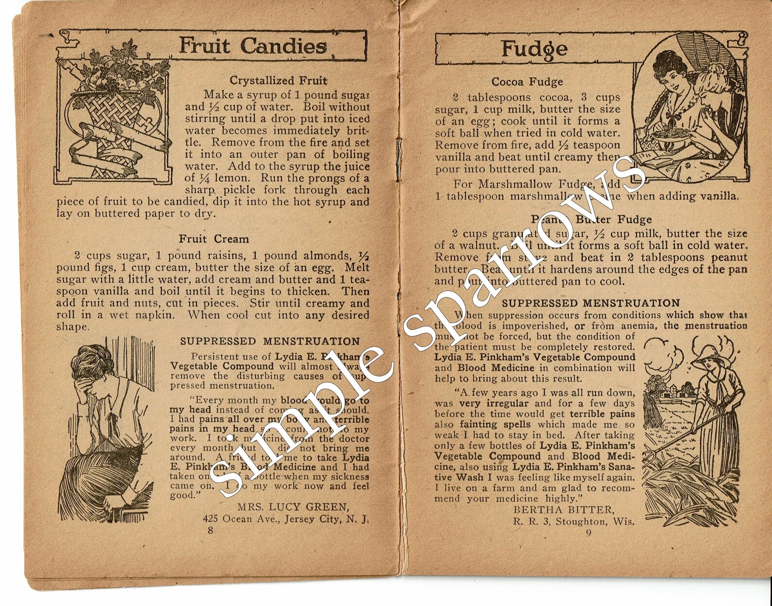 Lydia Pinkham Booklet Vintage DIGITAL DOWNLOAD 1910s Recipe - Etsy