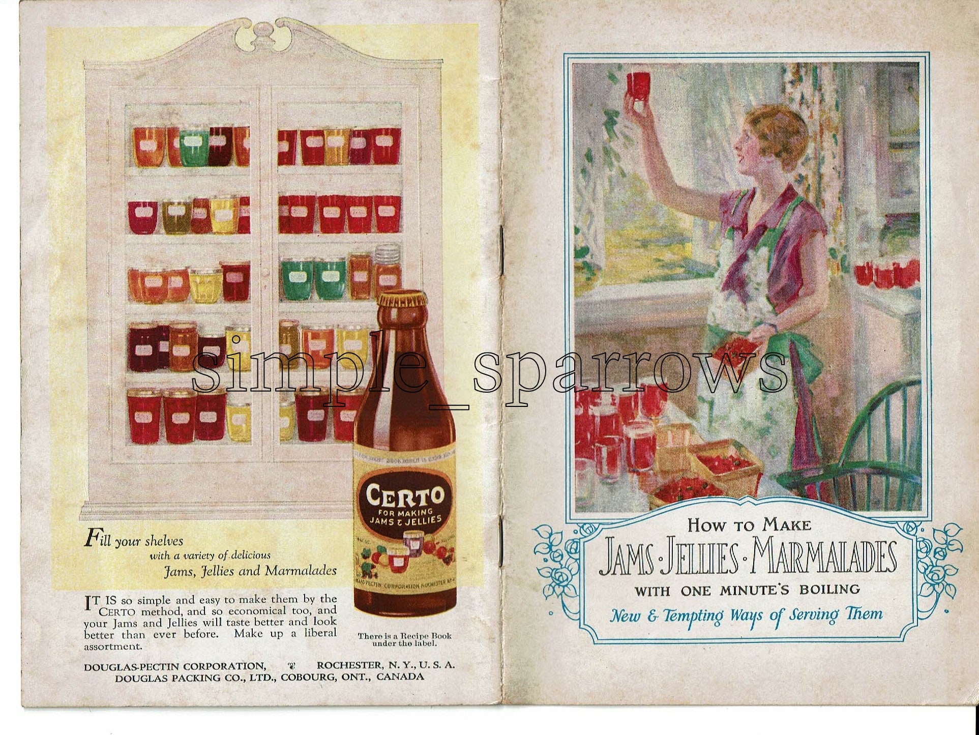 1920s Jam Booklet INSTANT DOWNLOAD Certo Jelly - Etsy