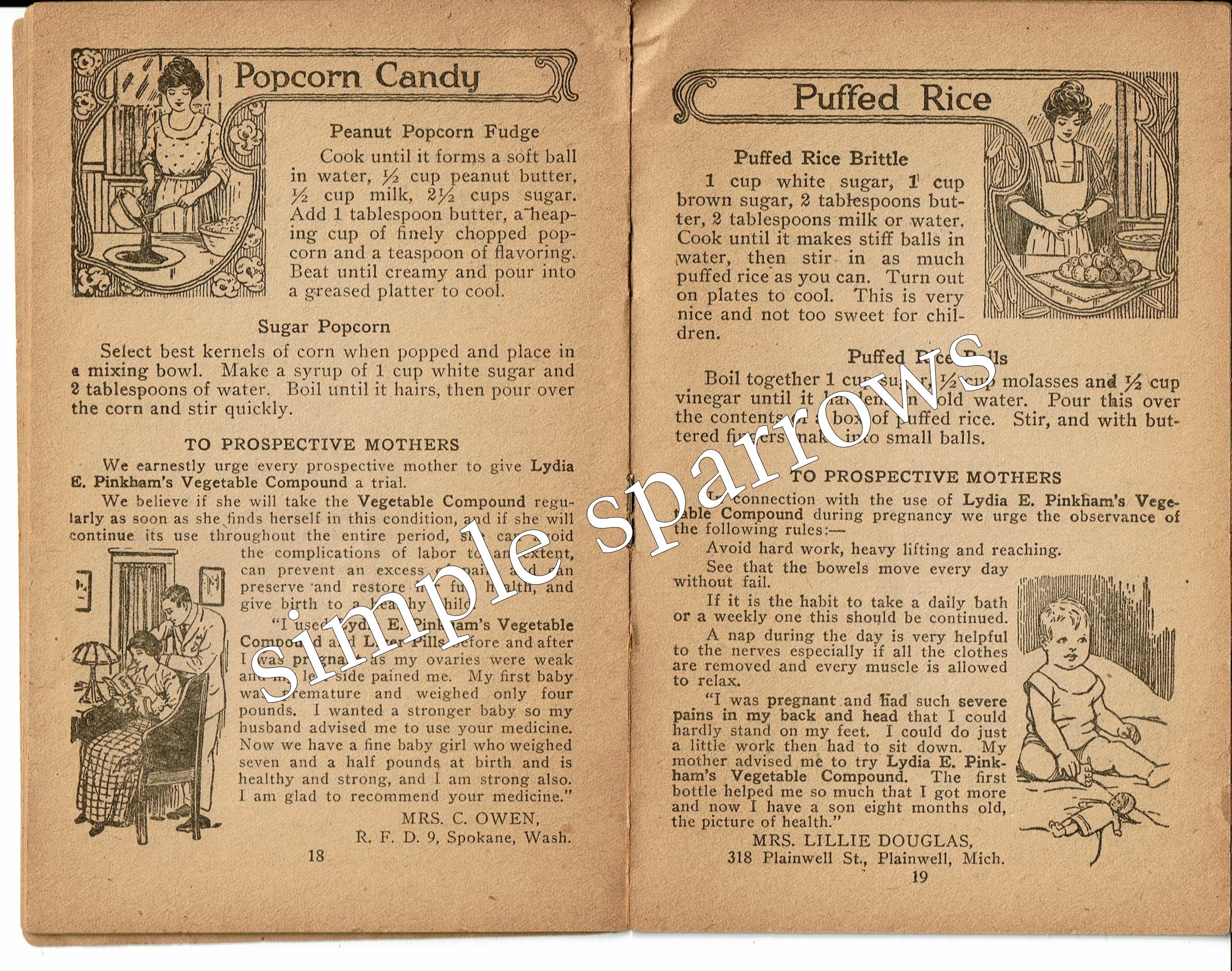 Lydia Pinkham Booklet Vintage DIGITAL DOWNLOAD 1910s Recipe - Etsy