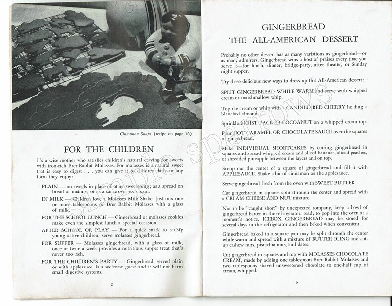 Vintage Brer Rabbit Molasses Recipe Book DIGITAL DOWNLOAD 1930s - Etsy