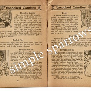 Lydia Pinkham Booklet Vintage DIGITAL DOWNLOAD 1910s Recipe - Etsy