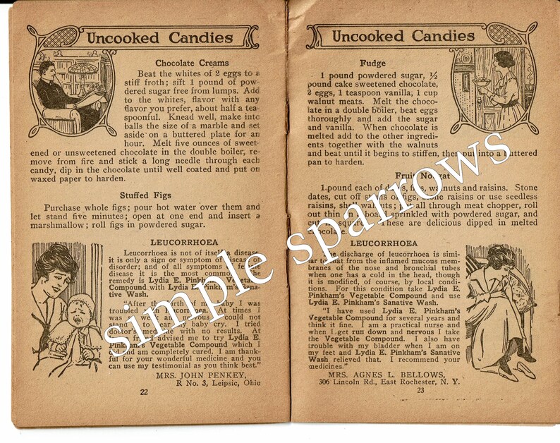 Lydia Pinkham Booklet Vintage DIGITAL DOWNLOAD 1910s Recipe - Etsy