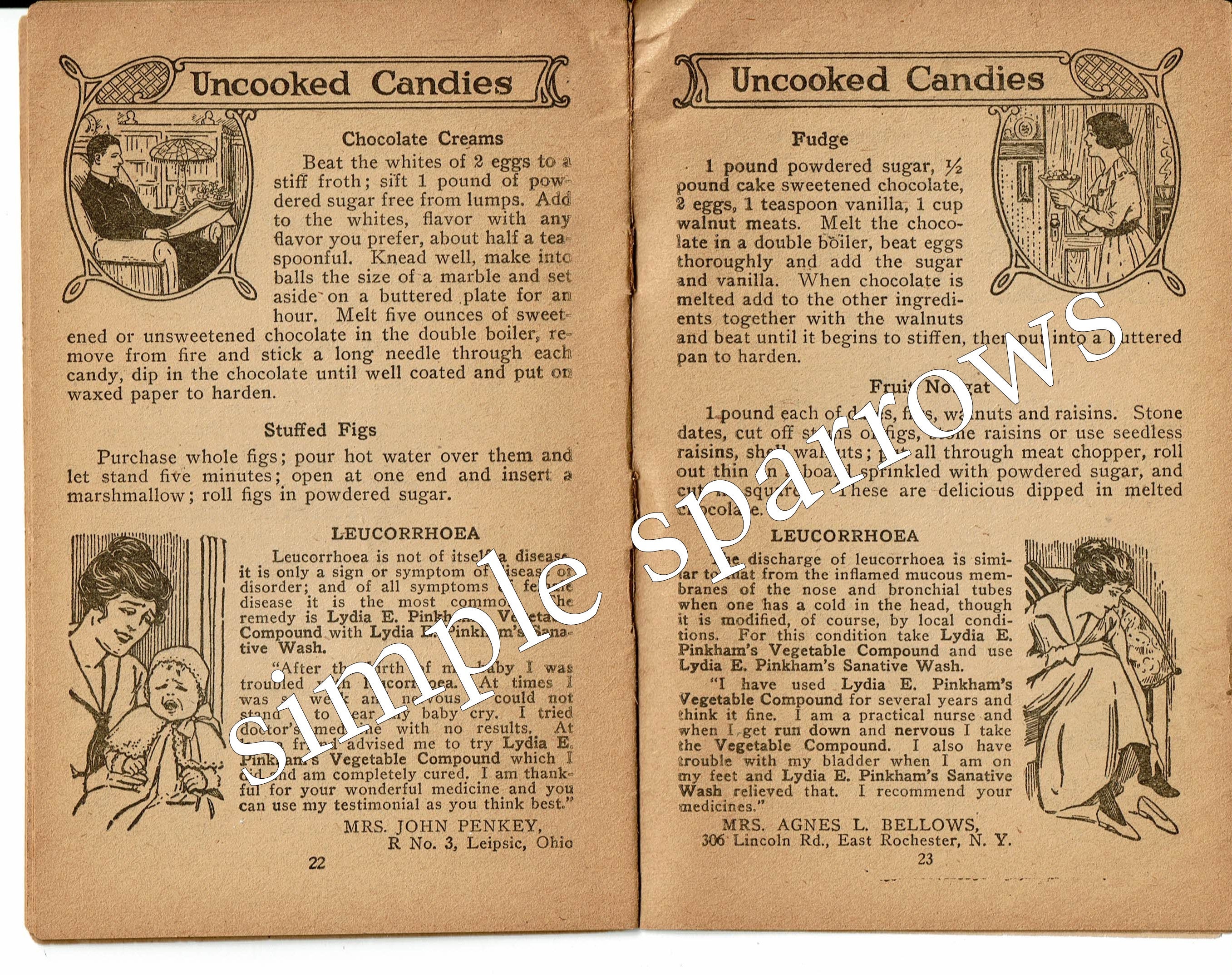 Lydia Pinkham Booklet Vintage DIGITAL DOWNLOAD 1910s Recipe - Etsy
