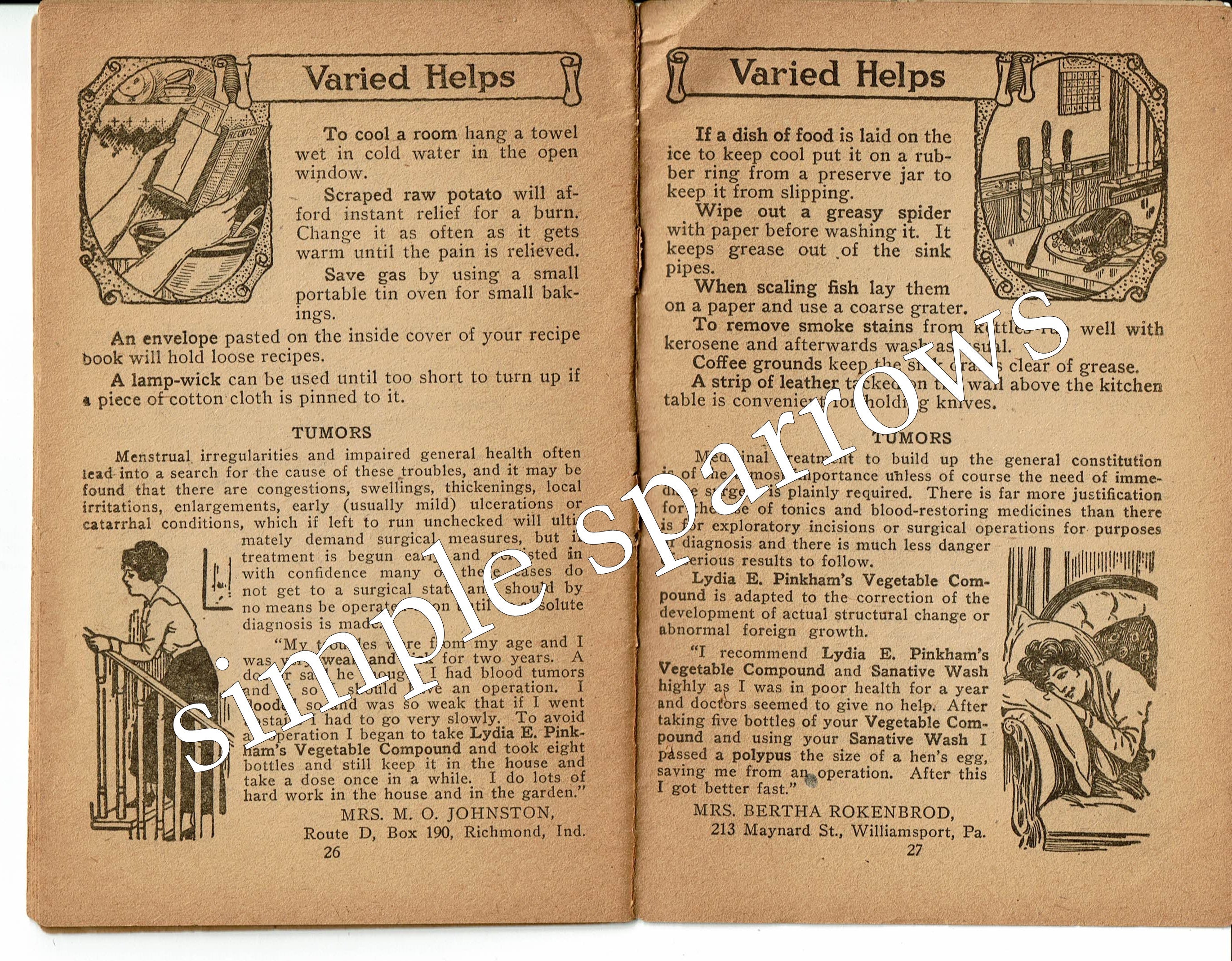 Lydia Pinkham Booklet Vintage DIGITAL DOWNLOAD 1910s Recipe - Etsy