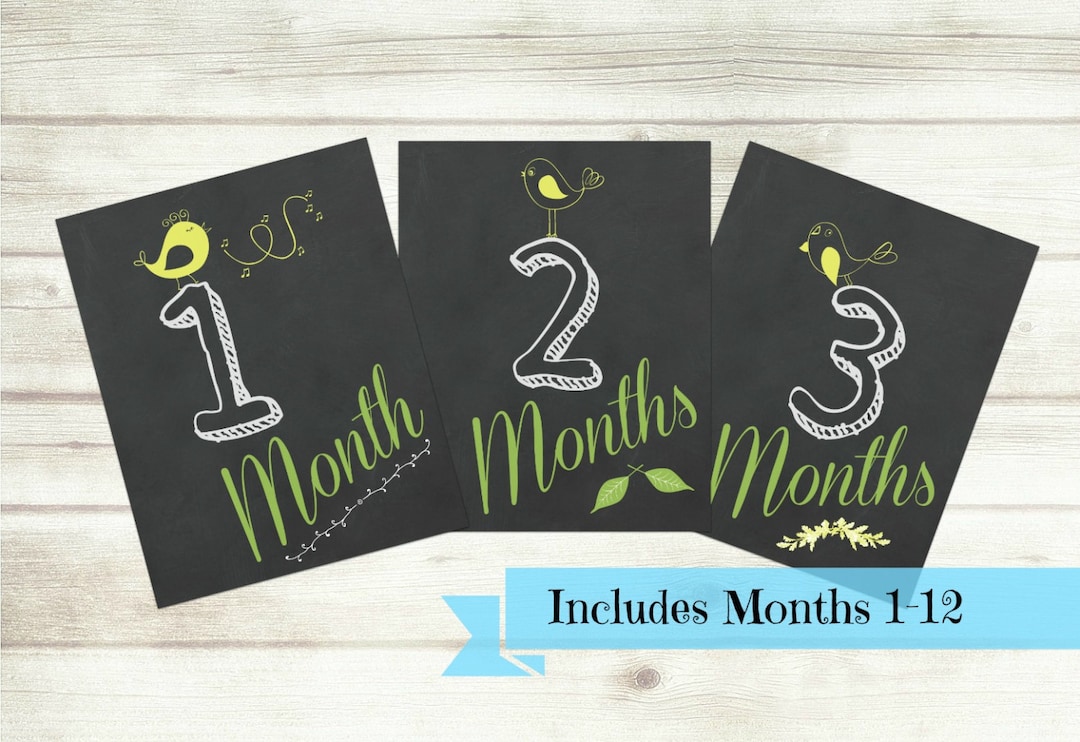 Printable Baby Month Signs, 1-12, Babys First Year Photo Prop Sign ...