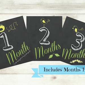 Printable Baby Month Signs, 1-12, Babys First Year Photo Prop Sign ...