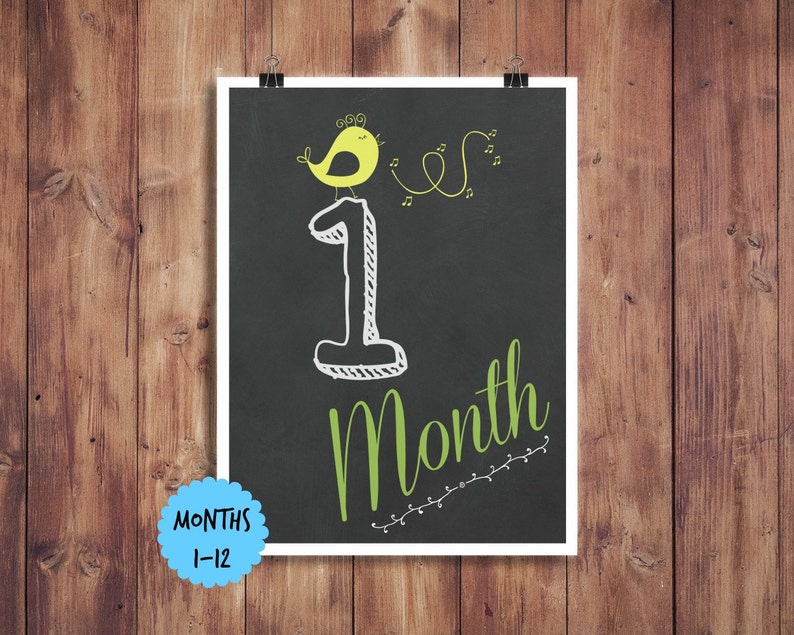 Printable Baby Month Signs, 1-12, Babys First Year Photo Prop Sign ...