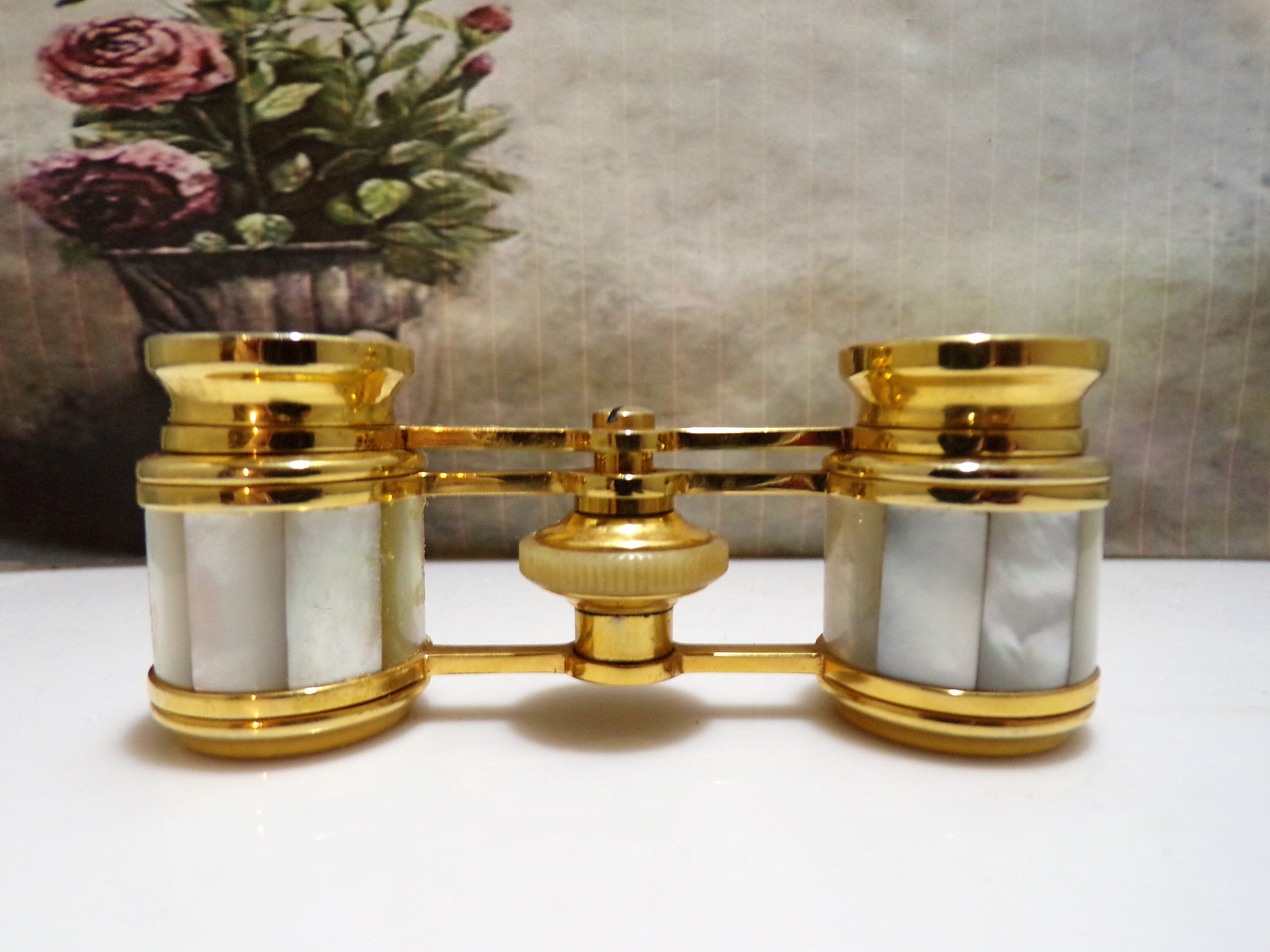 Opera Glasses, French Mother of Pearl Mini Opera Glasses with a Beaded ...
