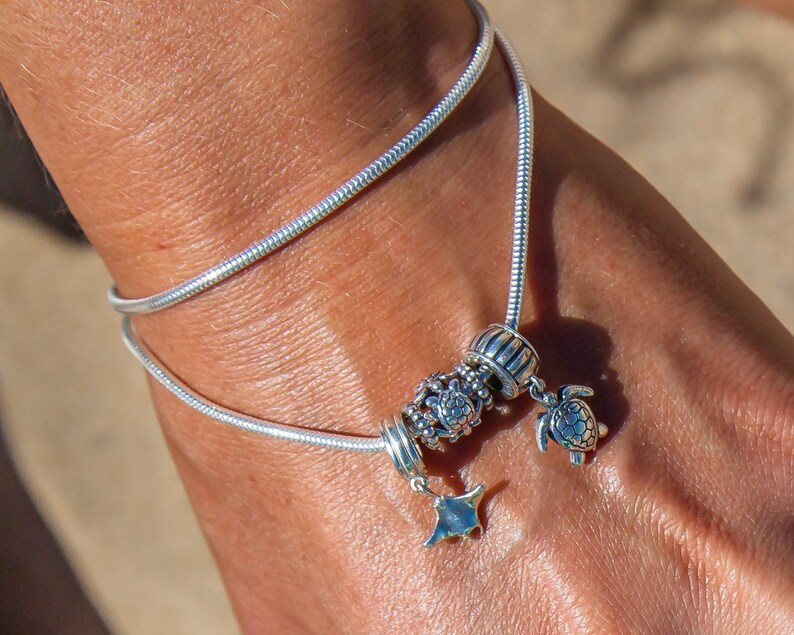 Sea Turtle Charm Bead 024 Fits Pandora Charm Bracelets Sea - Etsy
