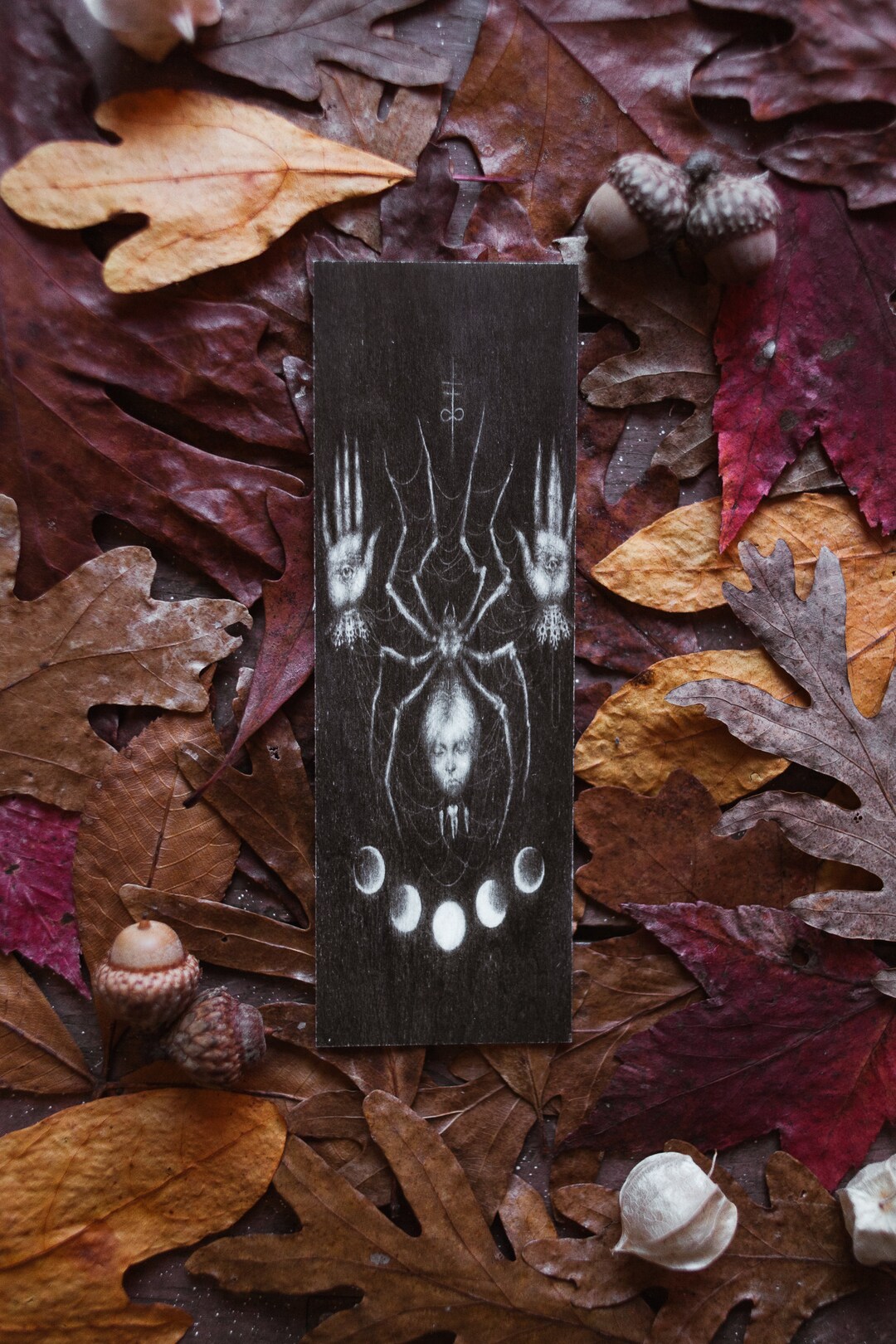 Metamorphosis / Babs Webb / Wood Bookmark / Free US Shipping - Etsy