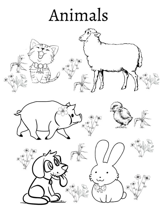 Spring Animals Coloring Pages