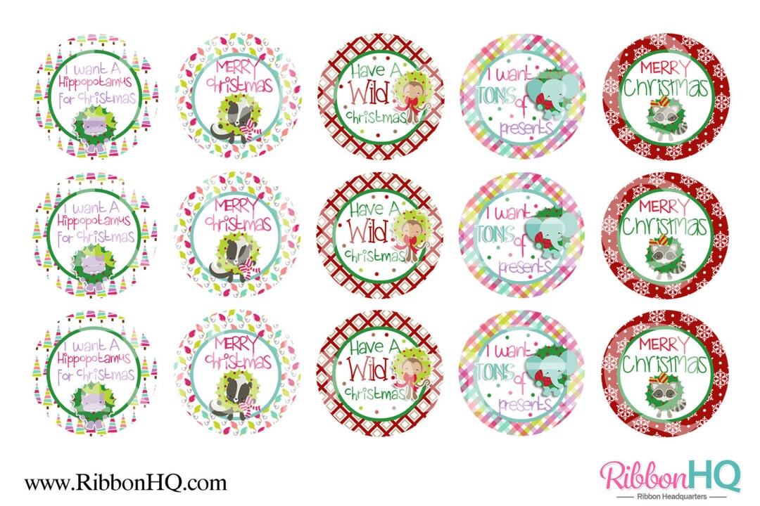 Christmas BCI, Animals, BCI, Christmas, Merry Christmas, Skunk, Raccoon ...